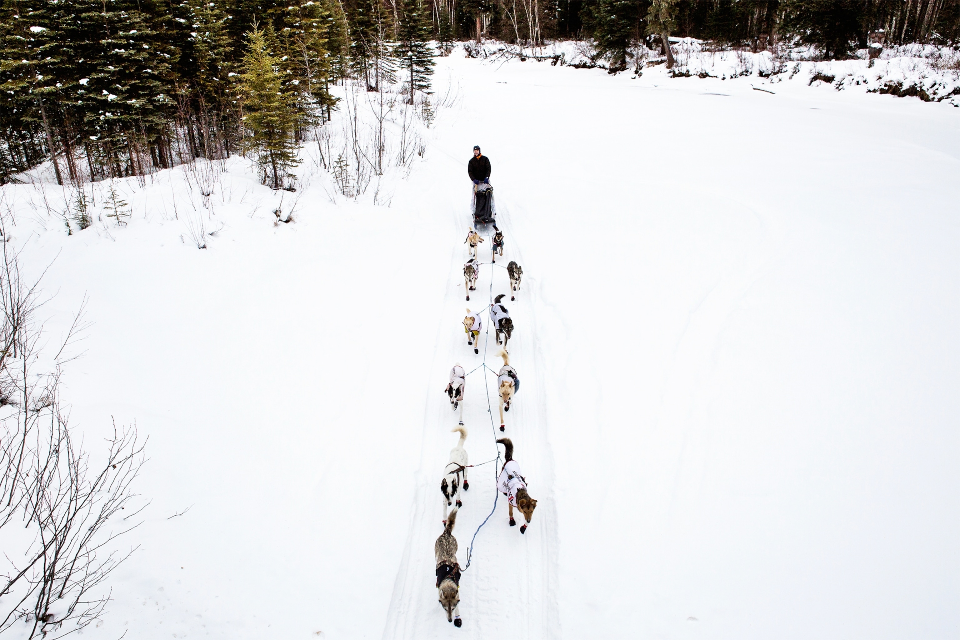 Survival Is the Ultimate Goal in World's Toughest Sled Dog Race
