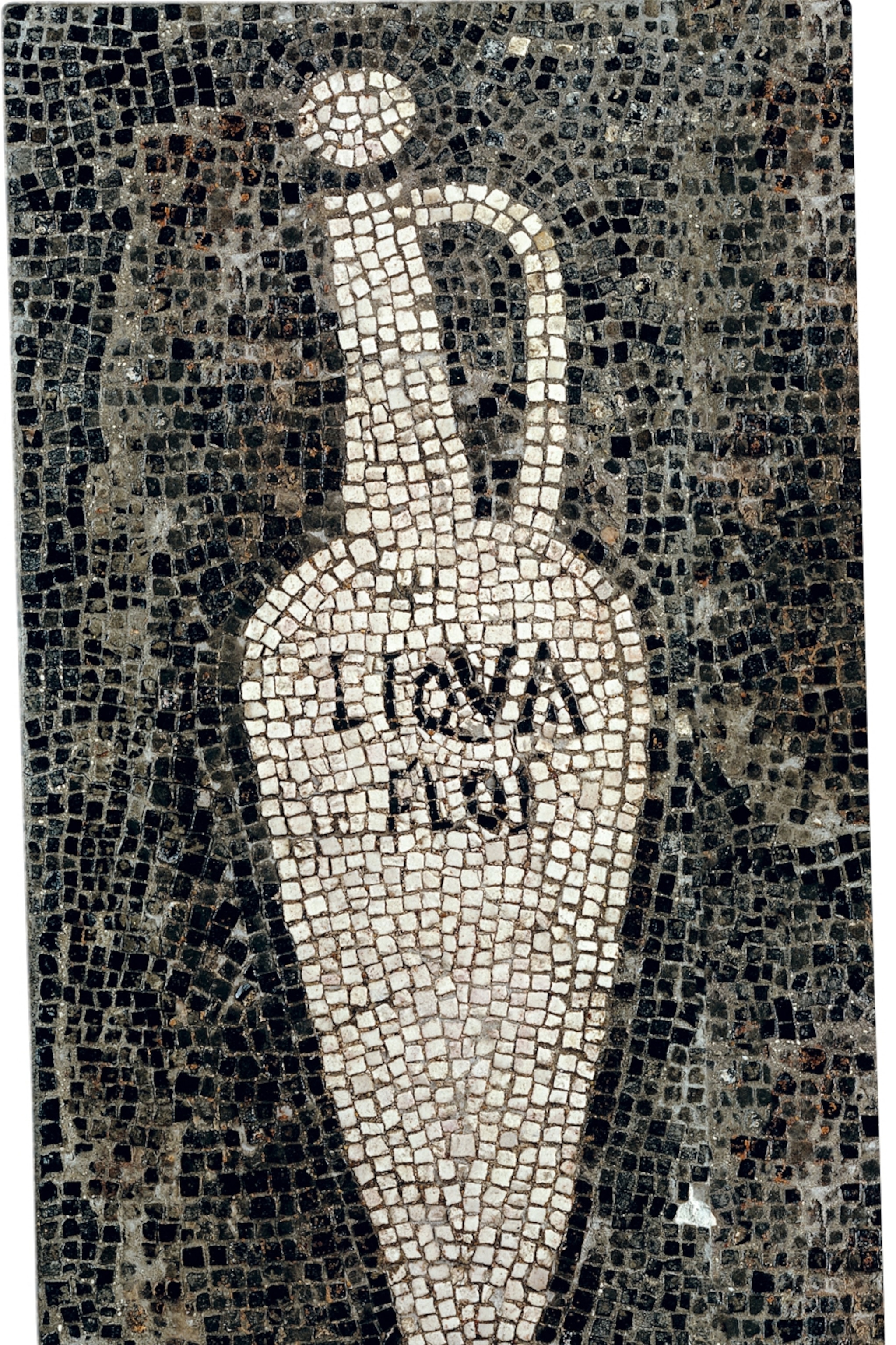 What Is Garum? More About Rome's Funky Sauce Made of Fish Guts