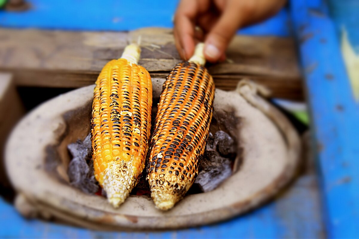Your Shot Corn Is King For Creatures Great And Small your-shot-corn-is-king-for-creatures-great-and-small
