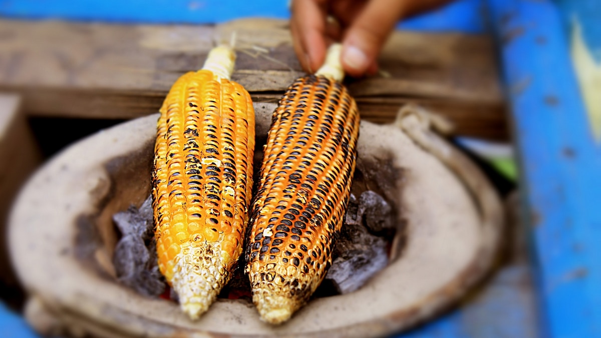 Your Shot: Corn Is King for Creatures Great and Small | National Geographic