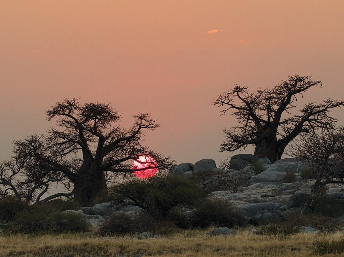 Nine Great Botswana Experiences -- National Geographic Traveler