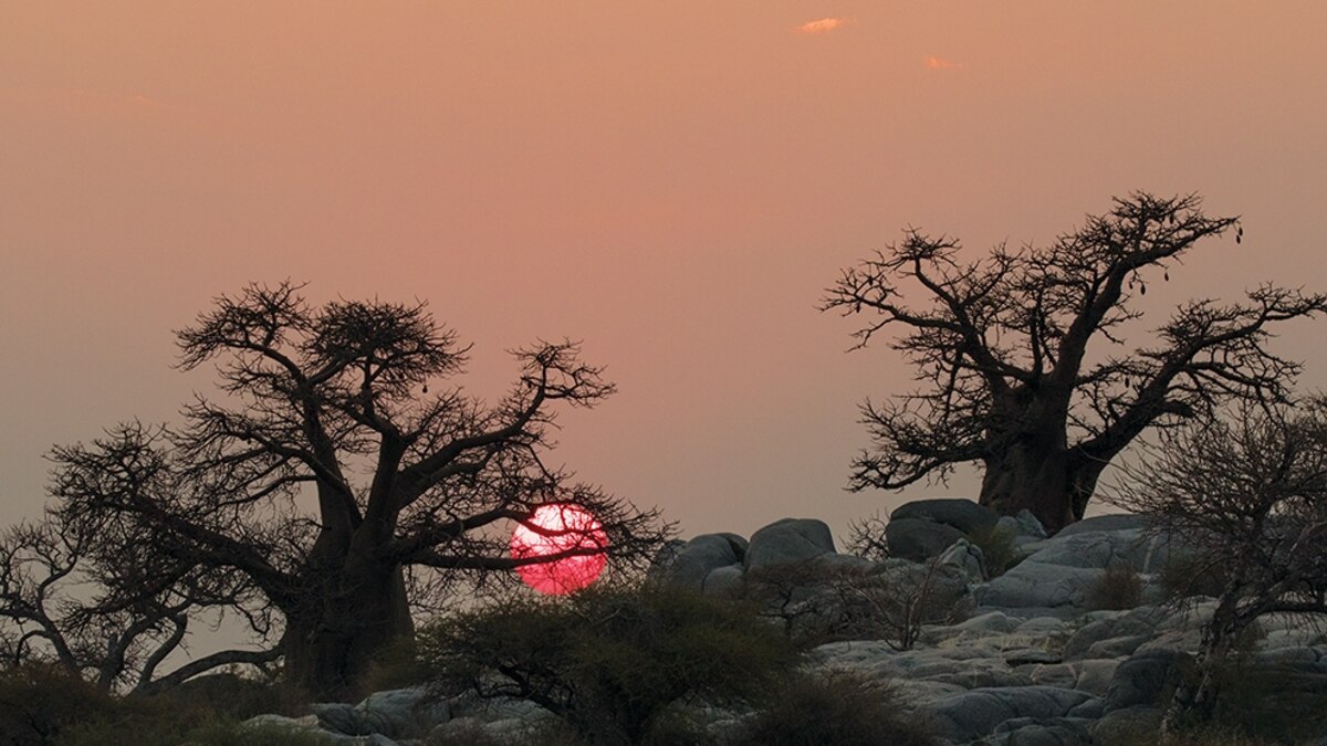 Nine Great Botswana Experiences -- National Geographic Traveler ...