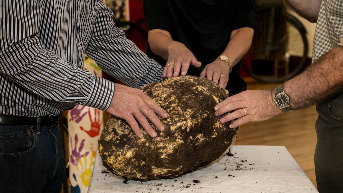 Bog Butter and Other Odd Ways the Ancients Preserved Food | National ...
