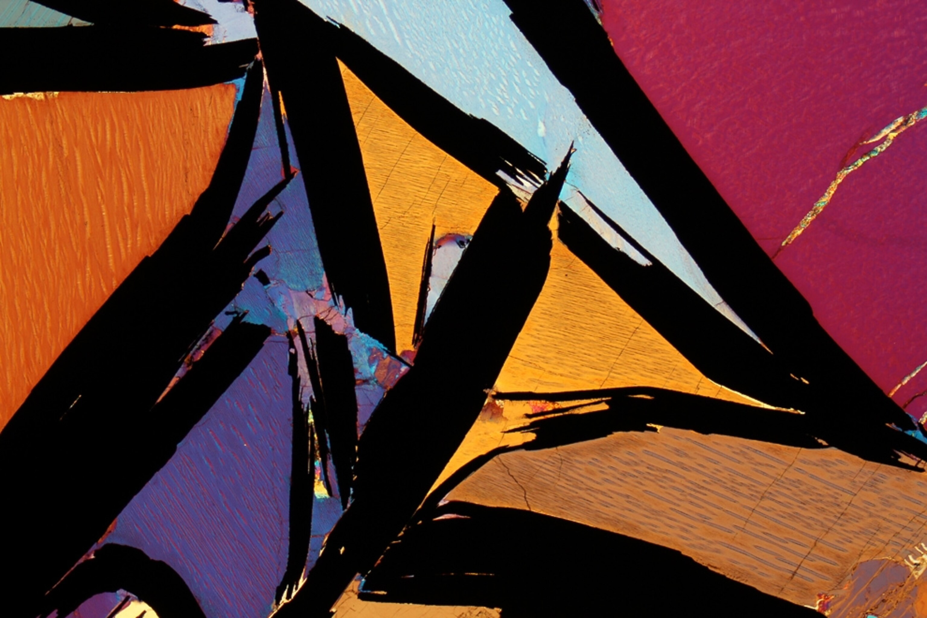 Pictures: Best Micro-Photos of 2011