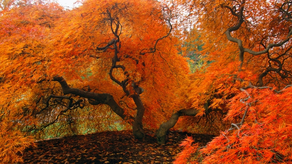 Autumn in the United States Photos - National Geographic | National ...