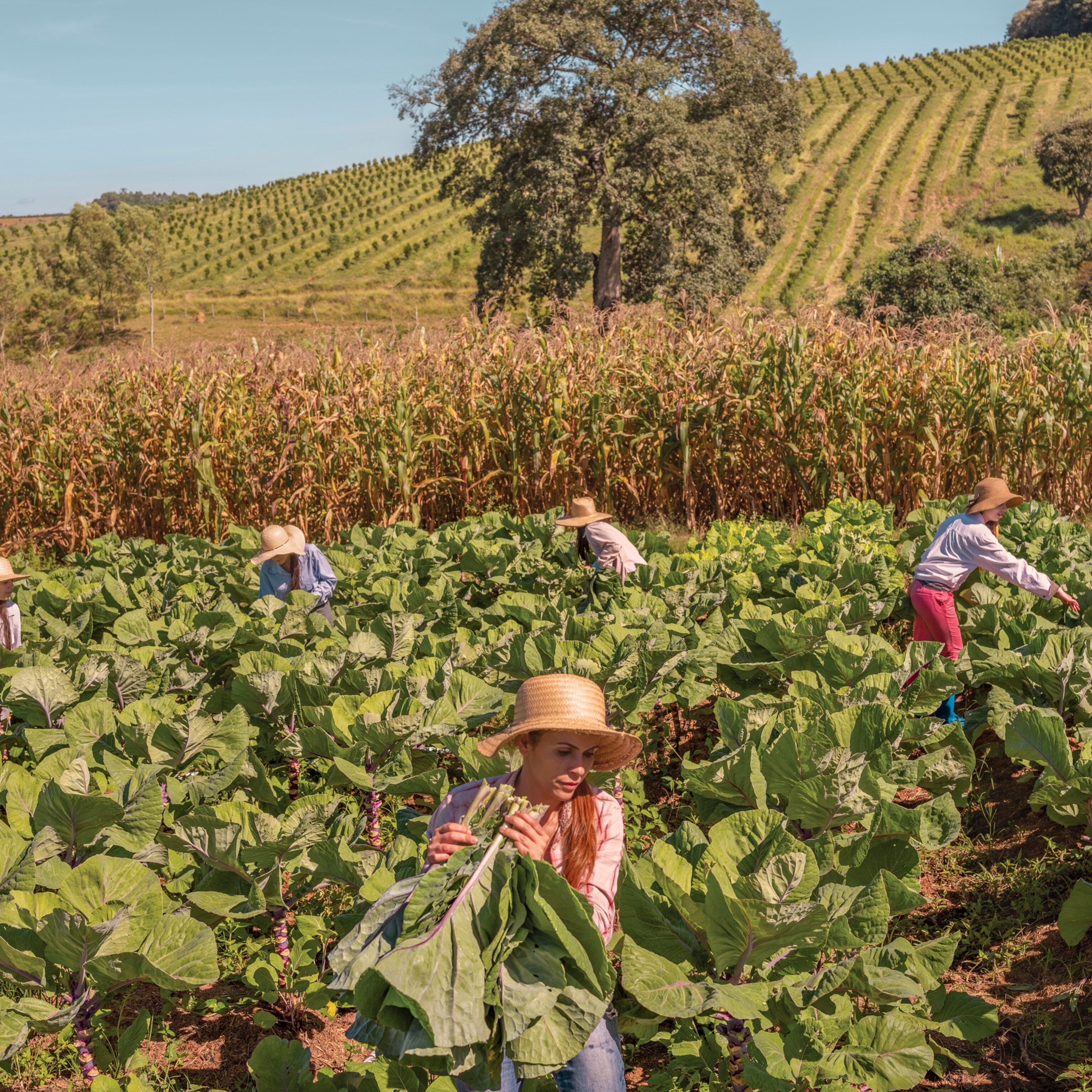 A 'women-only' village? The truth is much more complex—and fascinating