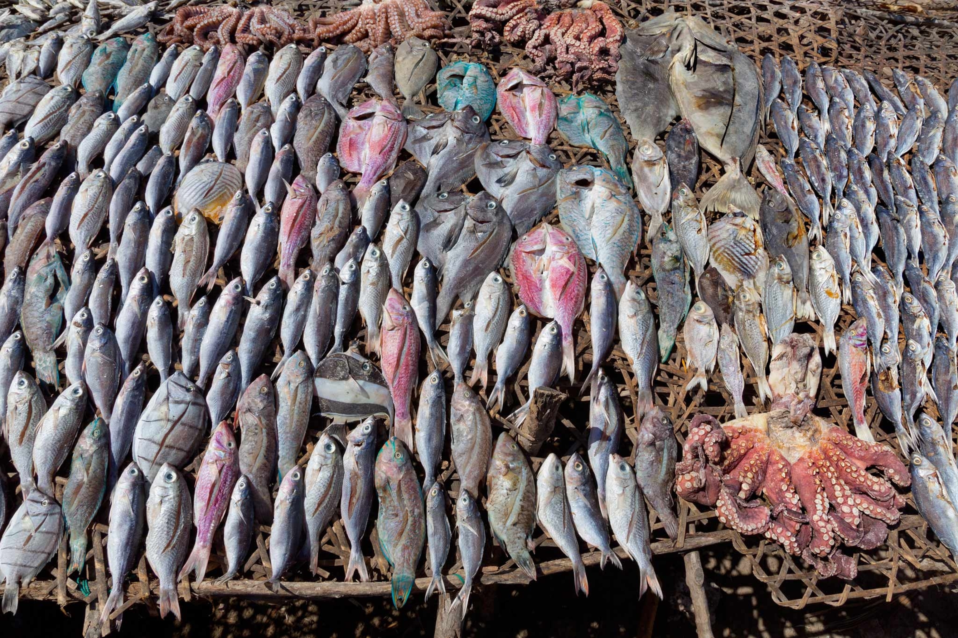 An Appreciation of the Magical Waters of Mozambique