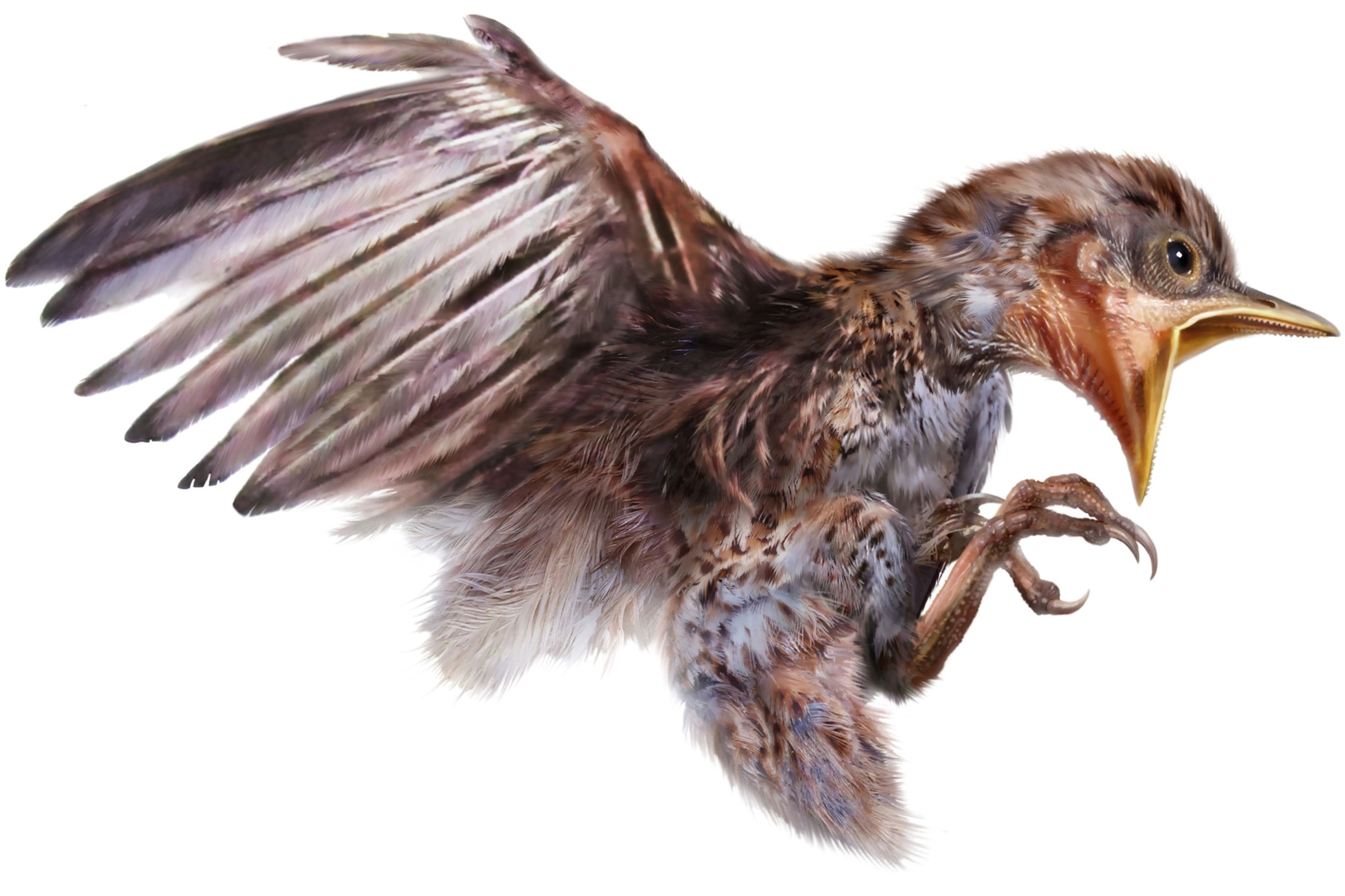Baby Bird from Time of Dinosaurs Found Fossilized in Amber