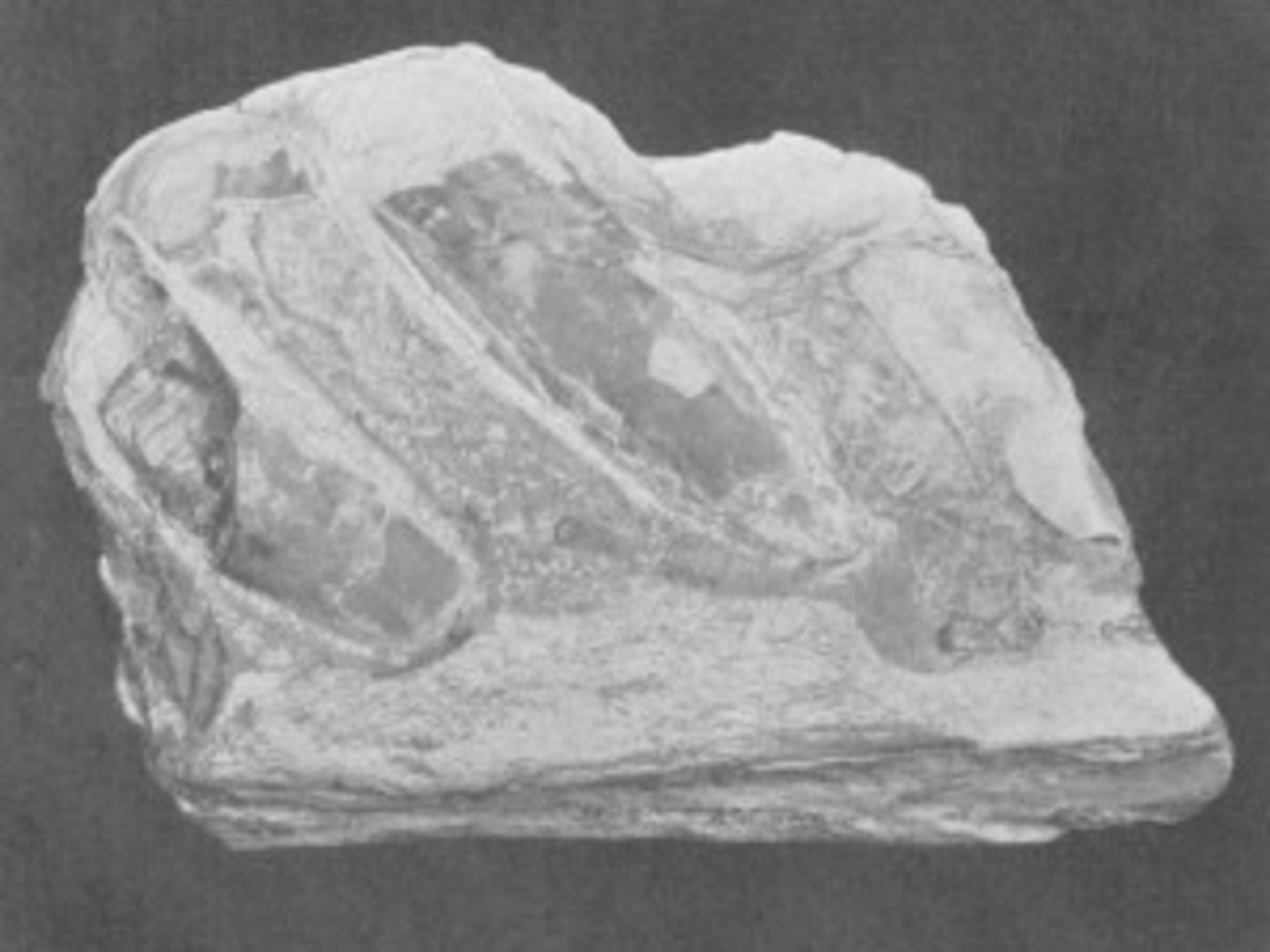 Repost: The Frustrating Legacy of Plasterosaurus