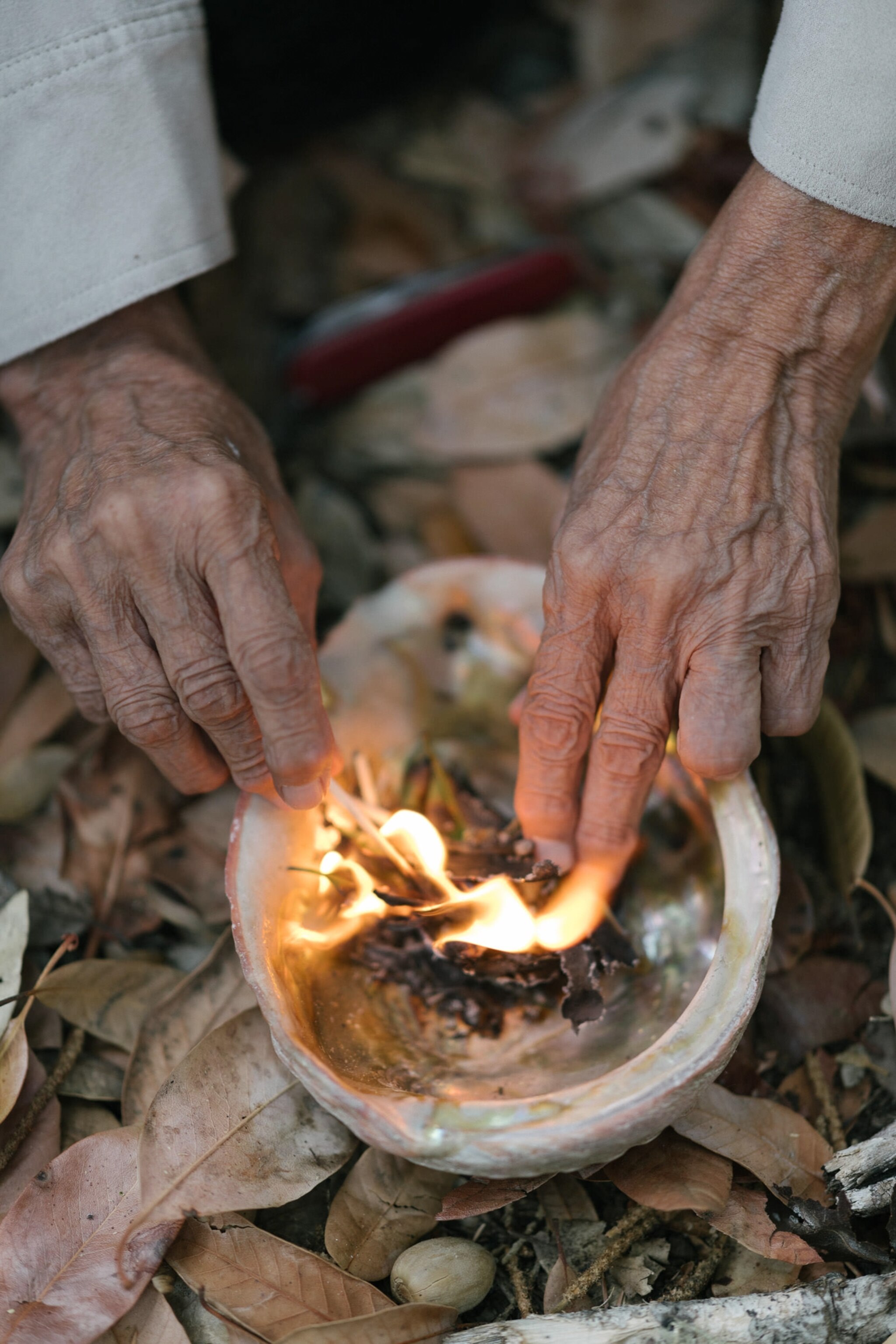 An Indigenous practice may be key to preventing wildfires