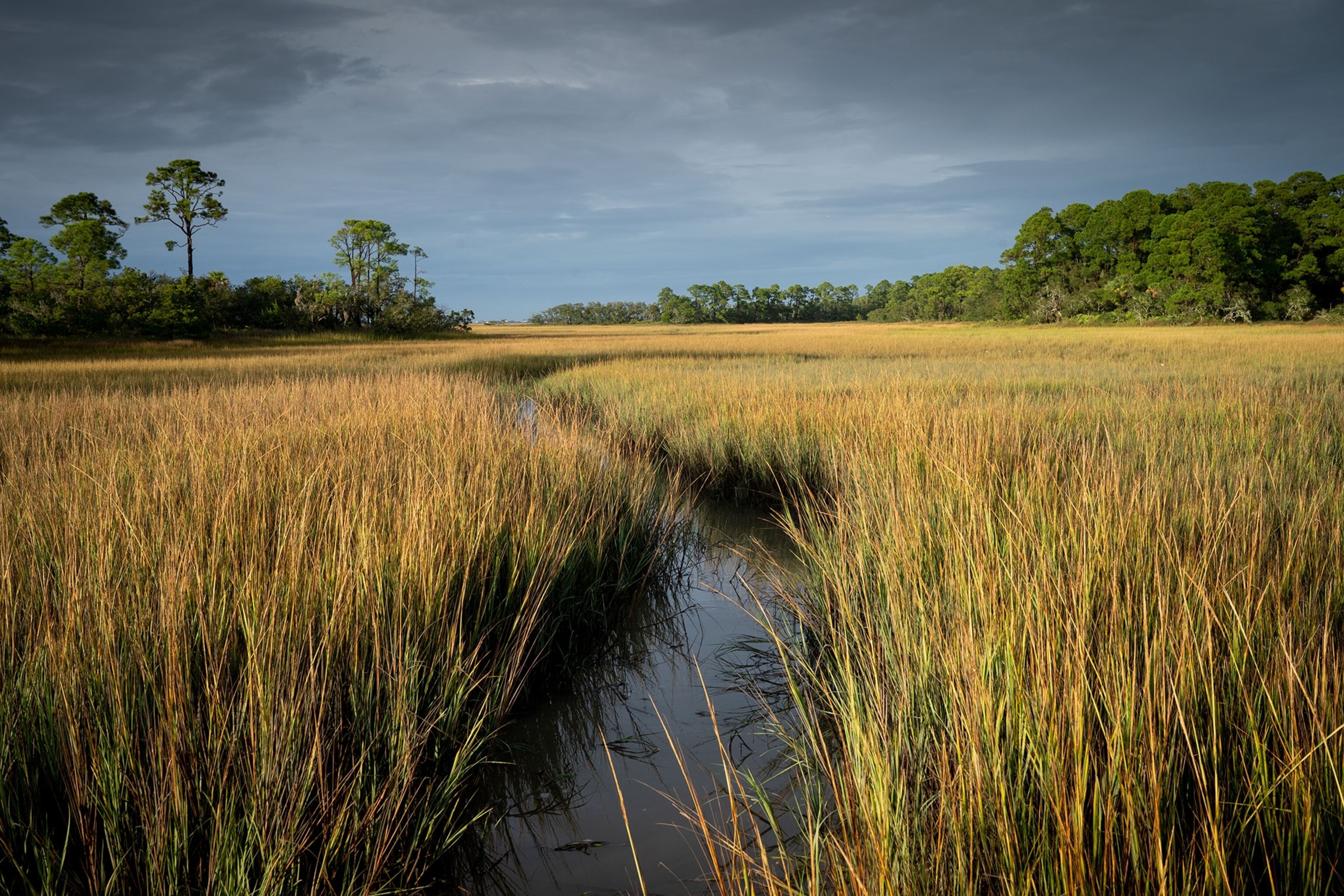 For health and fortune in the new year, put this Gullah Geechee meal on ...