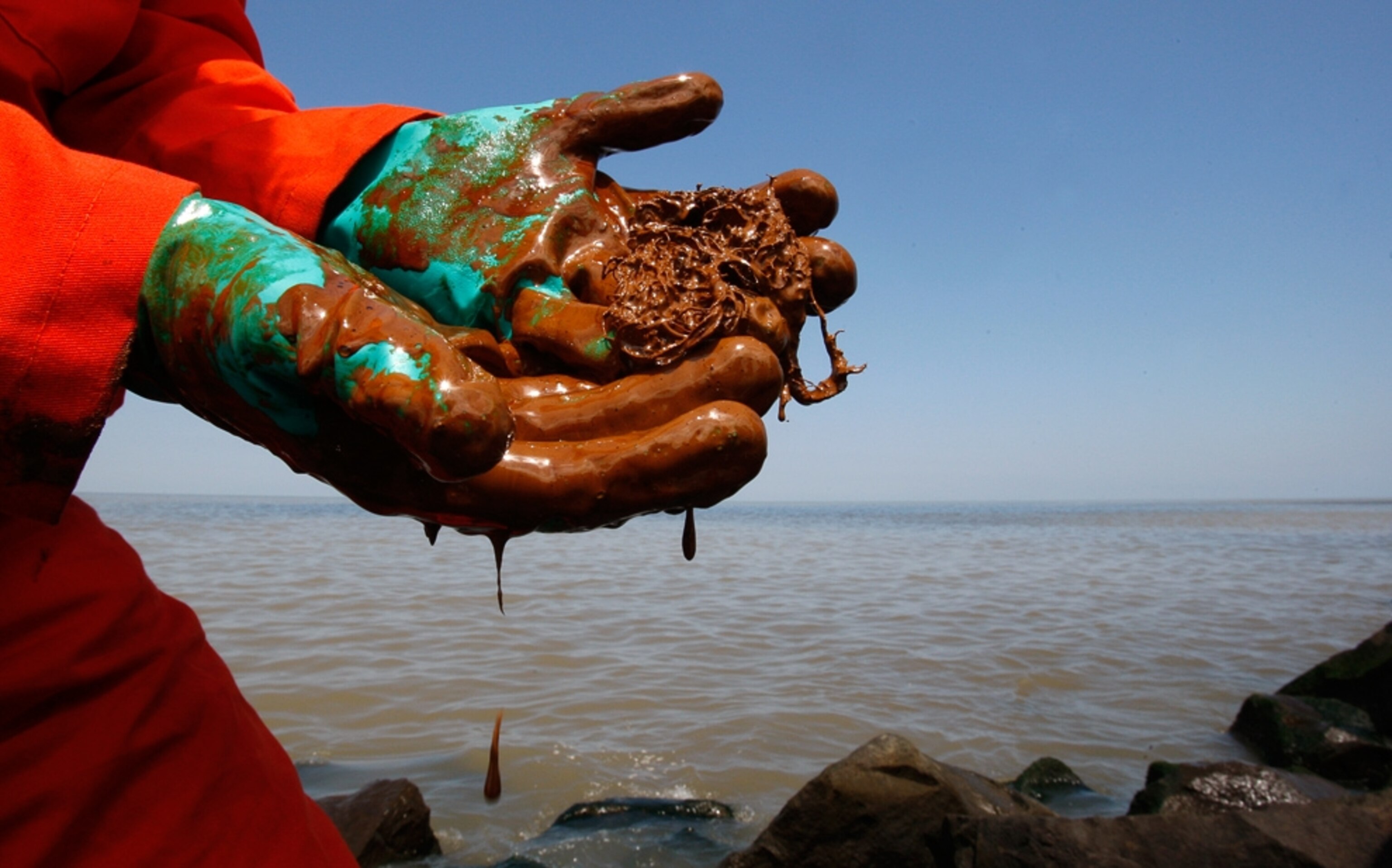 Pictures: Heavy Oil Seeping Into Louisiana Marshes | National Geographic