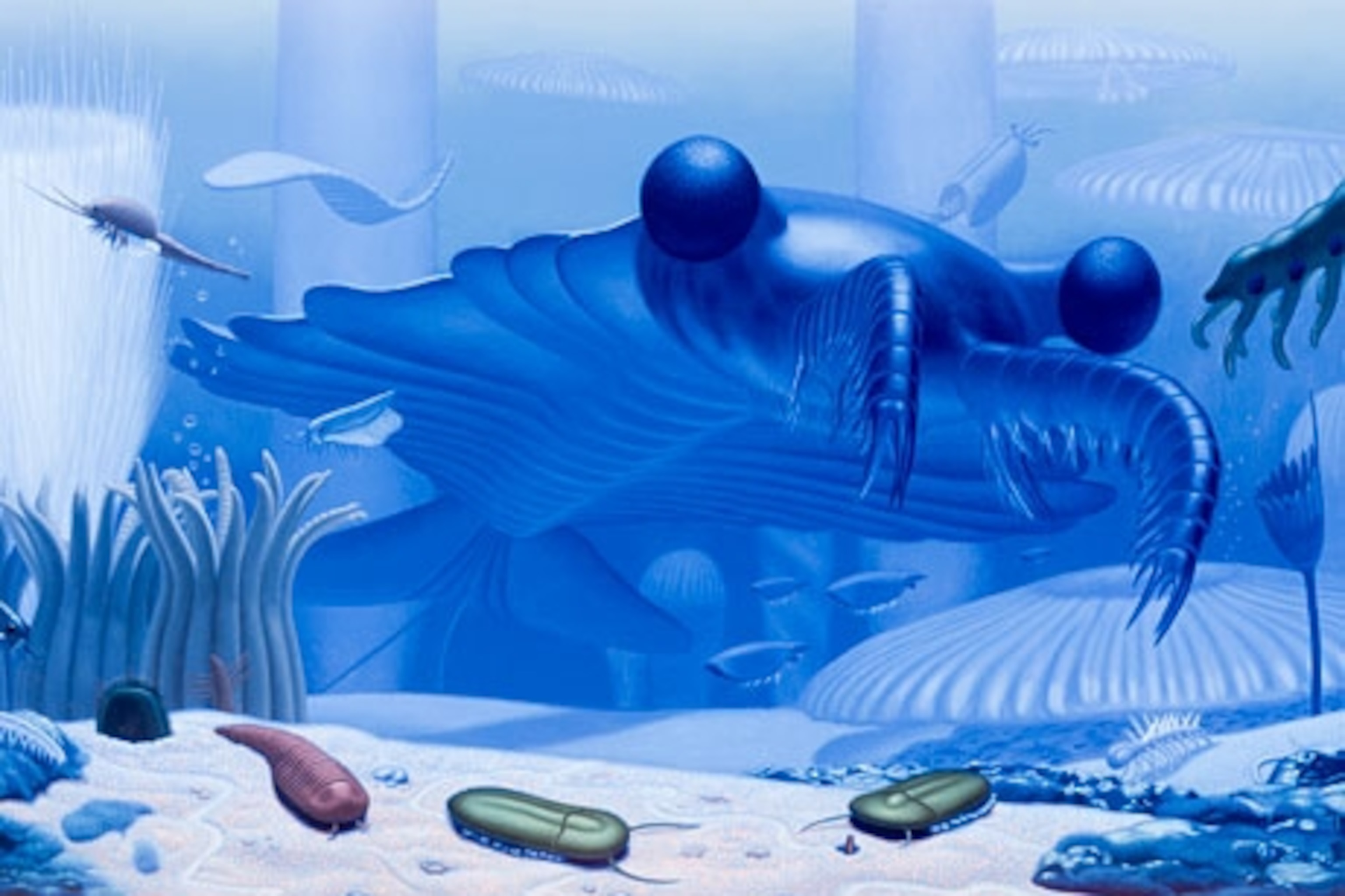 Evolution vs. Intelligent Design: 6 Bones of Contention