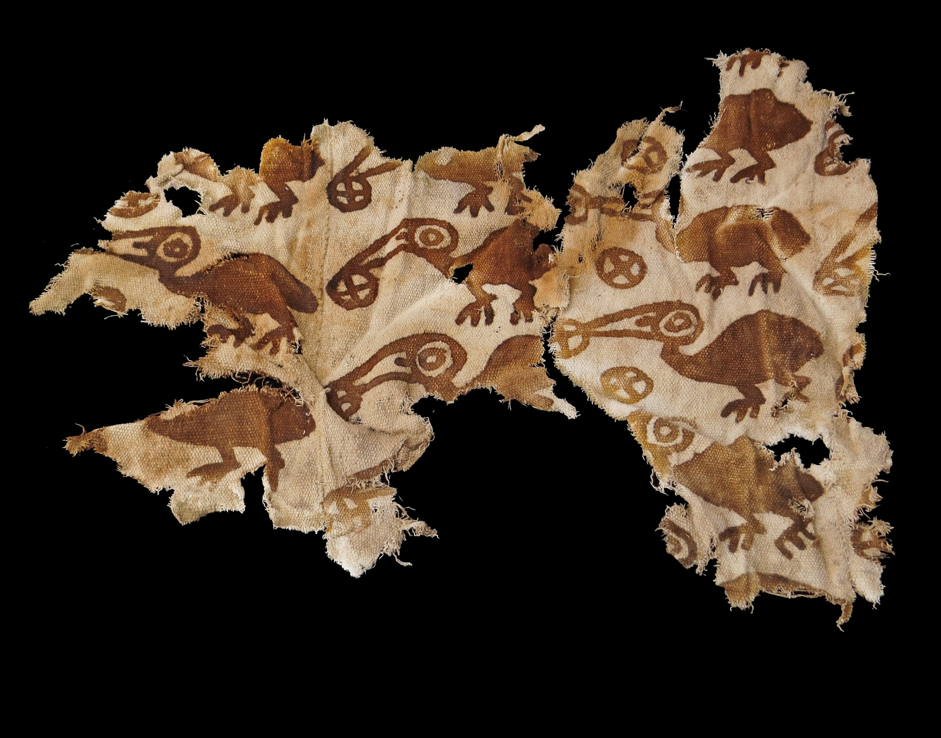 Photos: Ancient Tomb of Chimú Nobles Found in Peru | National Geographic