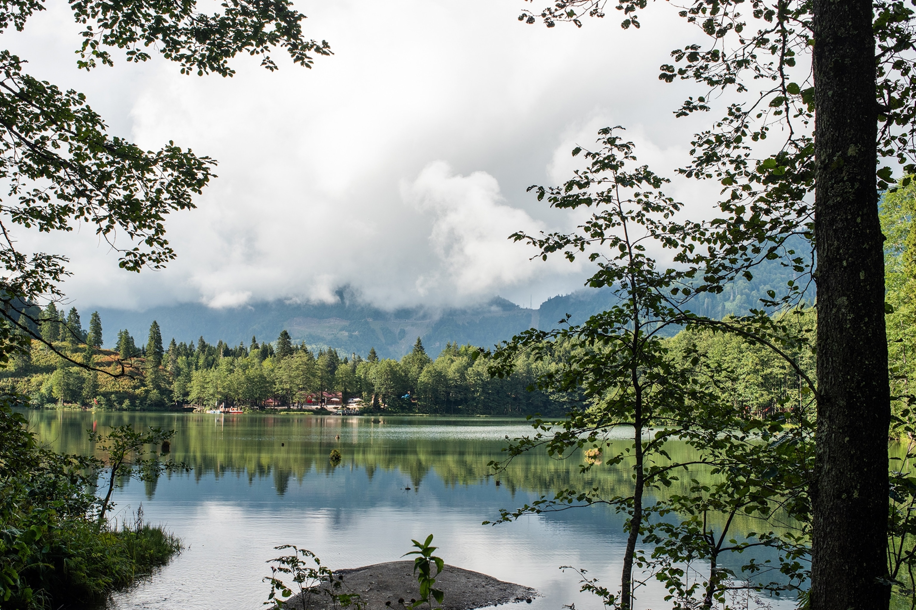Enjoy tea time on Türkiye's Black Sea coast—in pictures | National ...