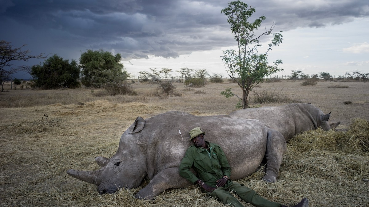 Your best photos of the week, July 19, 2019 | National Geographic