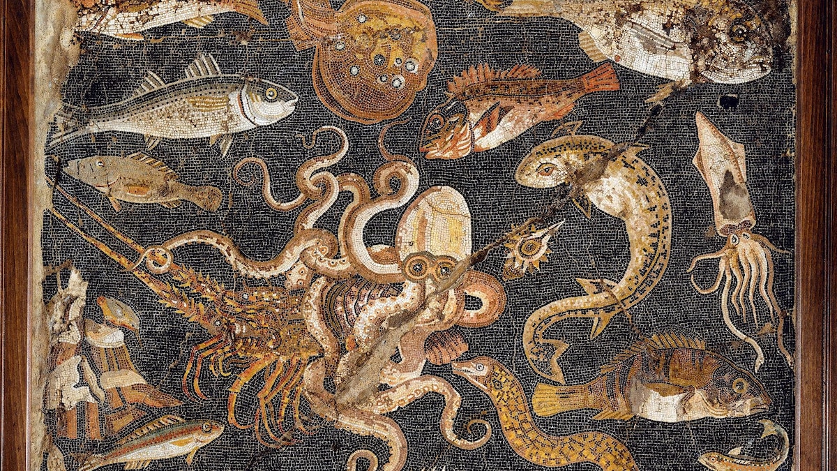 What Is Garum? More About Rome's Funky Sauce Made of Fish Guts | National Geographic