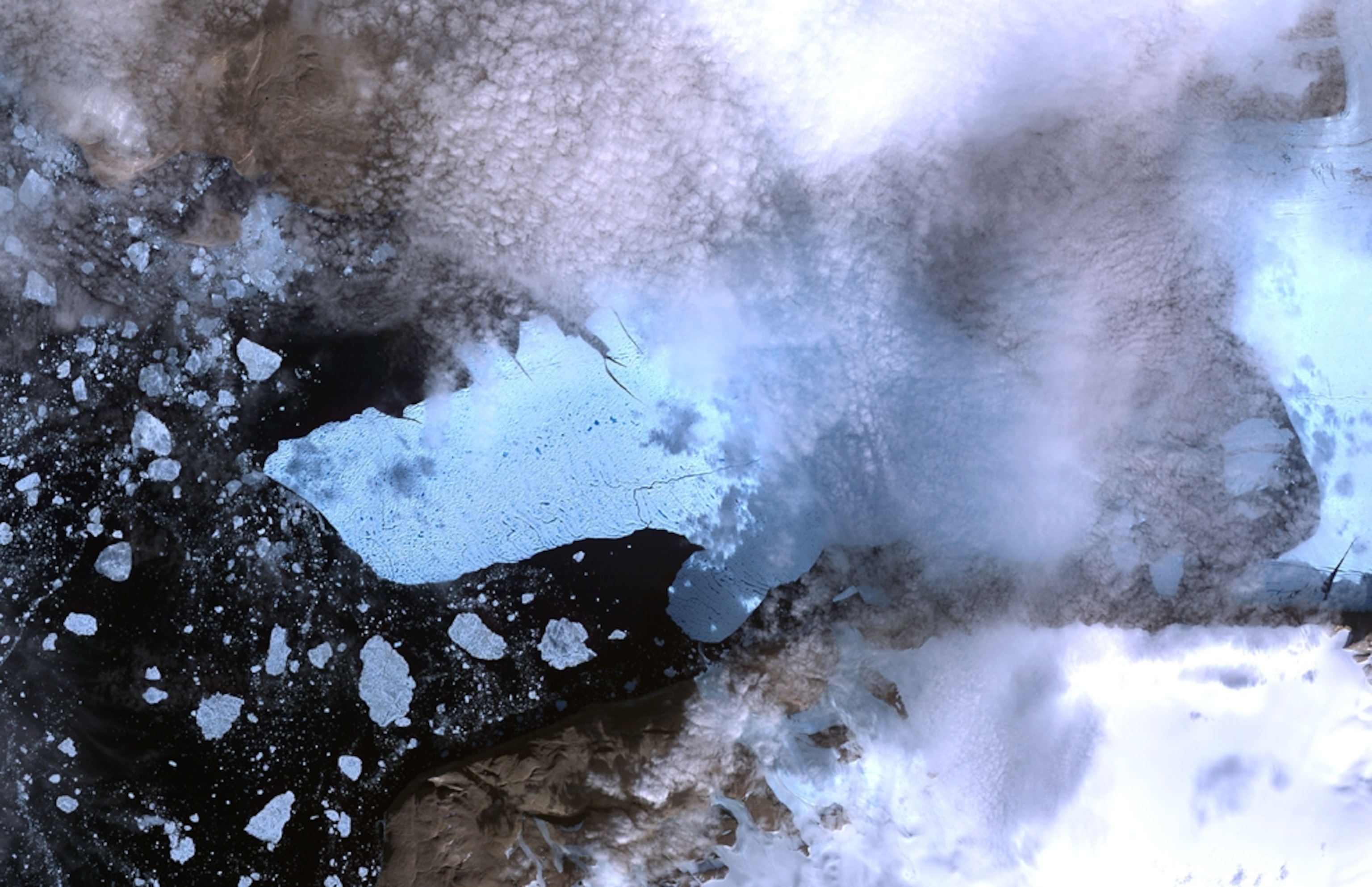 Space Photos This Week: Star Blob, Perseids, More | National Geographic