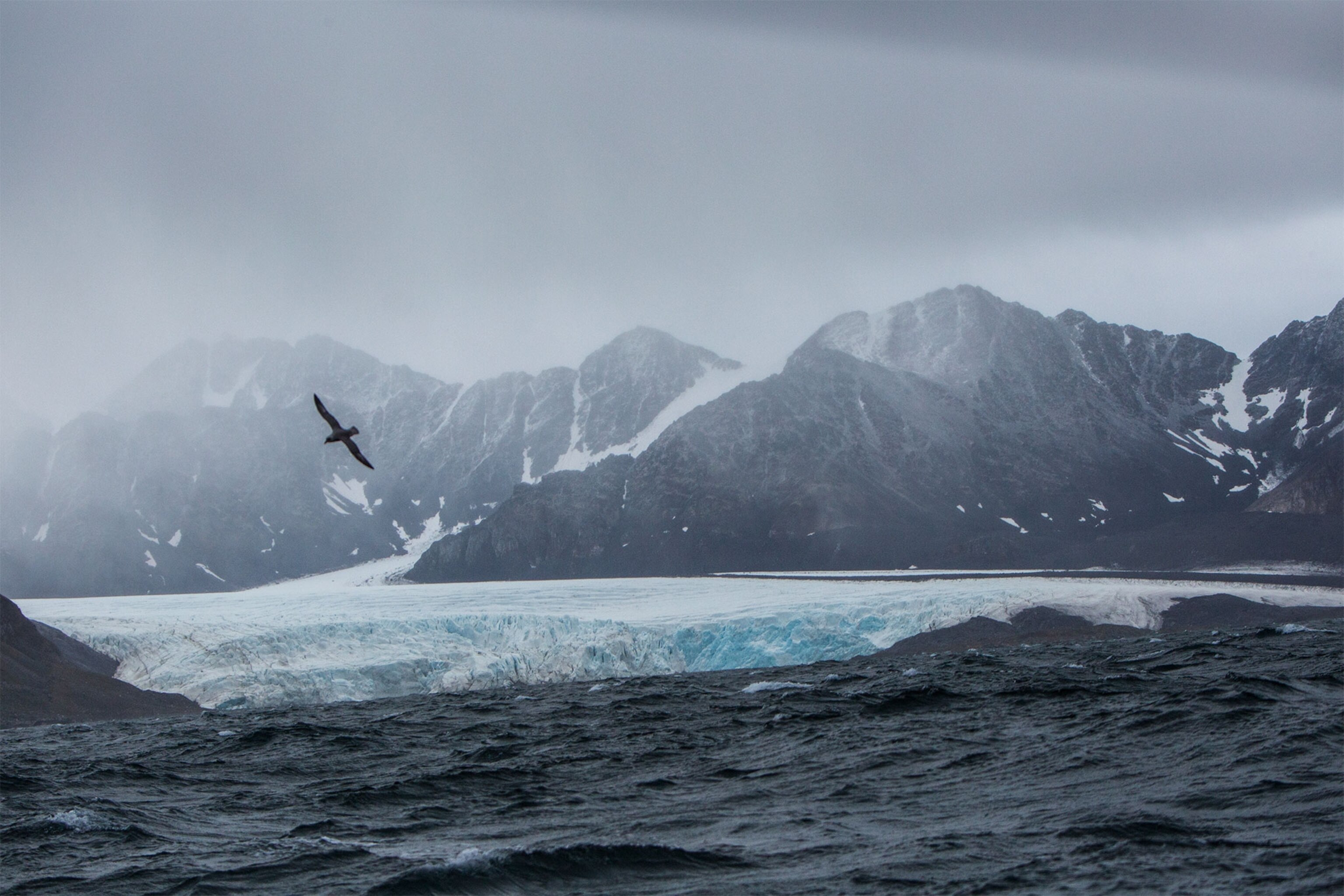 Climate Scientists Brave Arctic Perils to Get Paleoclimate Cores in ...