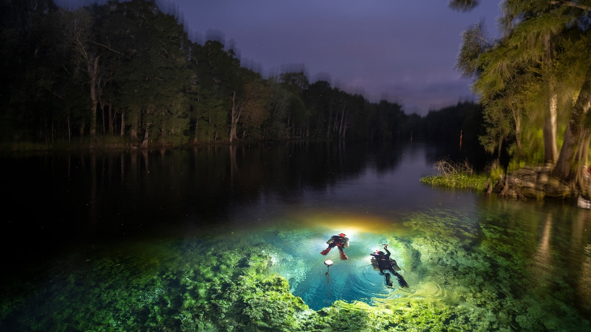 14 extraordinary photos show the importance of freshwater habitats ...