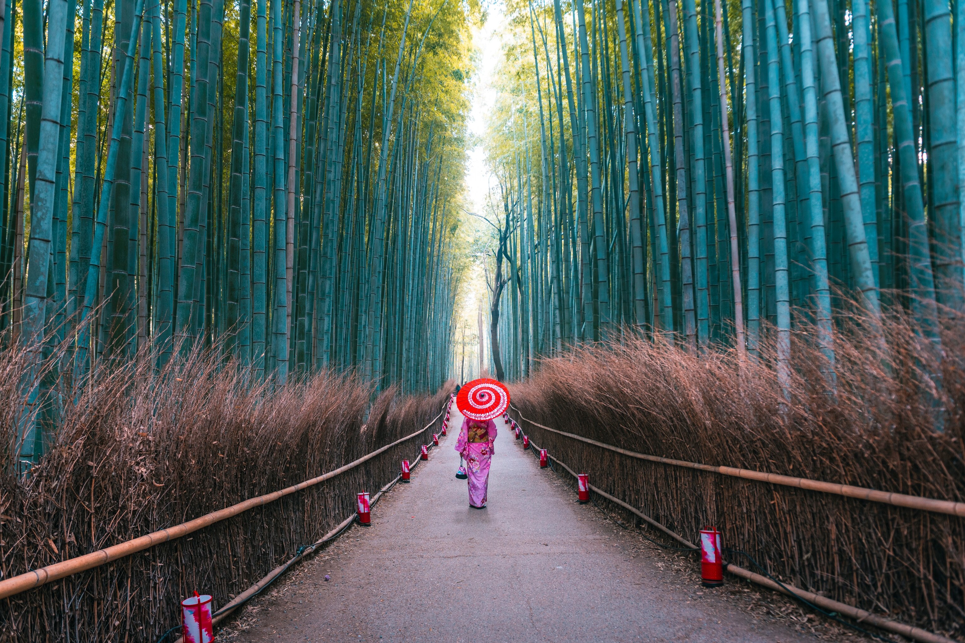 Spirit of Japan: three of the best sake regions to explore