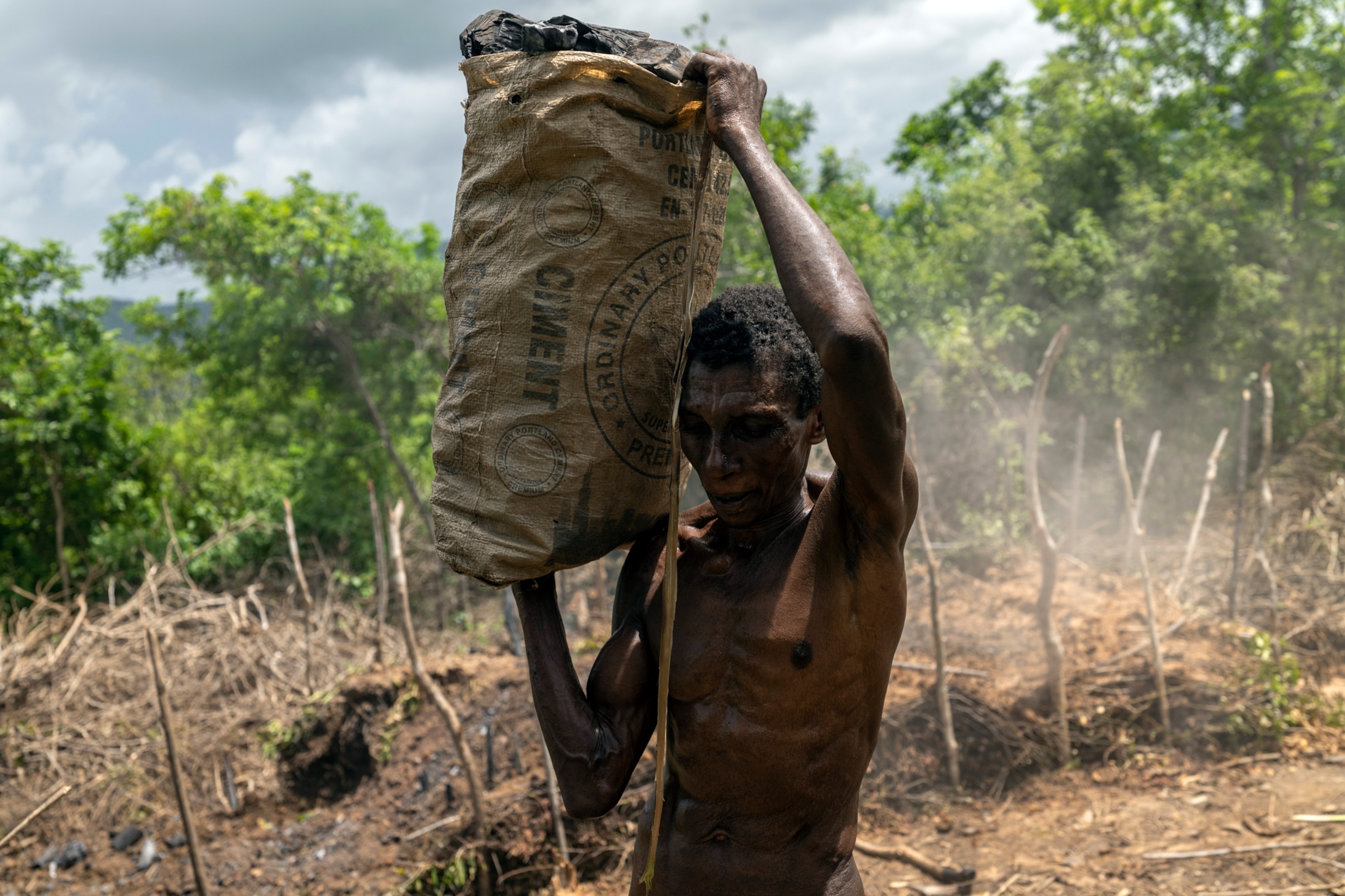 Madagascar’s sacred trees face existential threats in a changing world