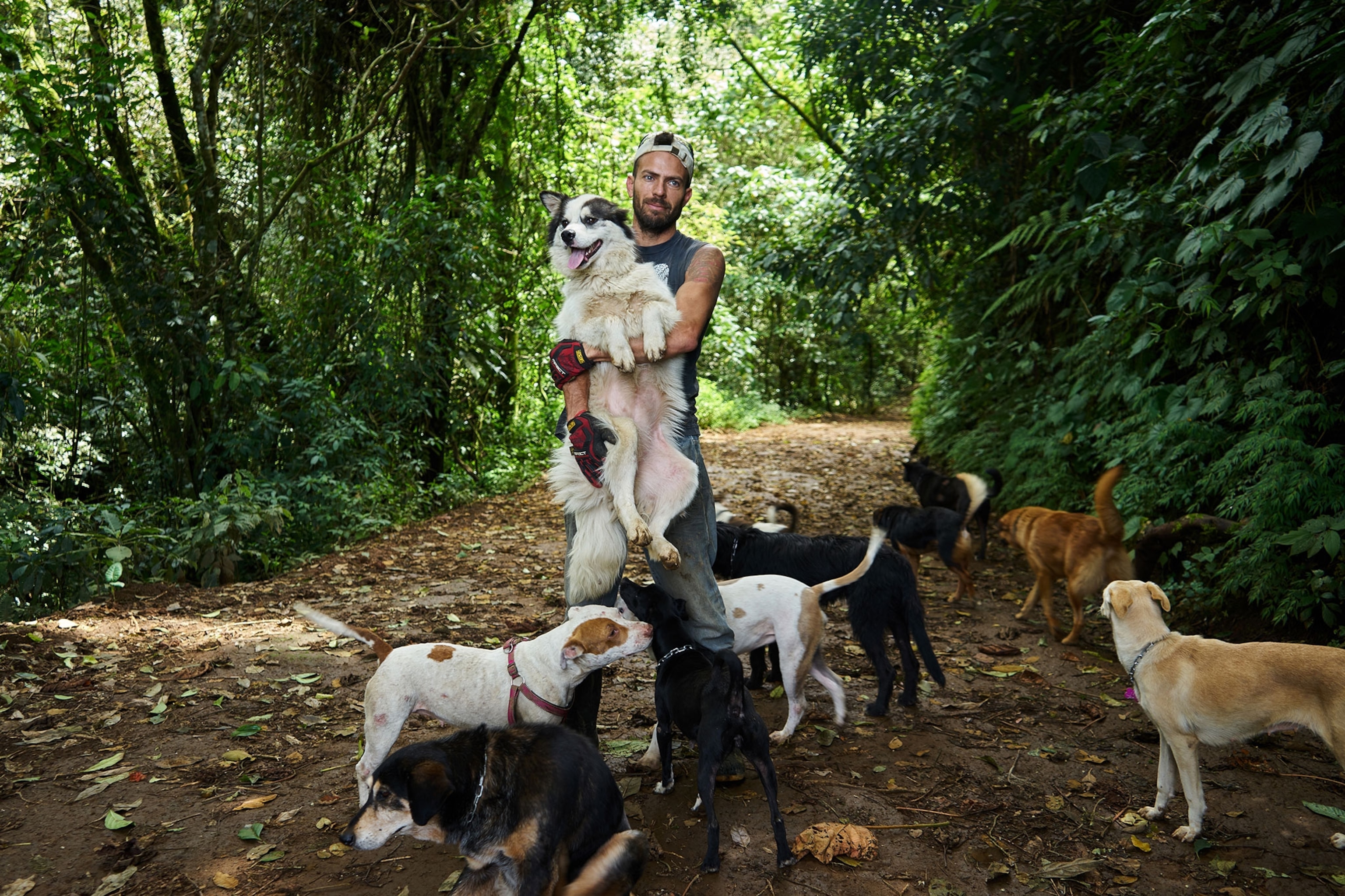 Animal Shelter in Costa Rica Home to 1,000 Stray Dogs