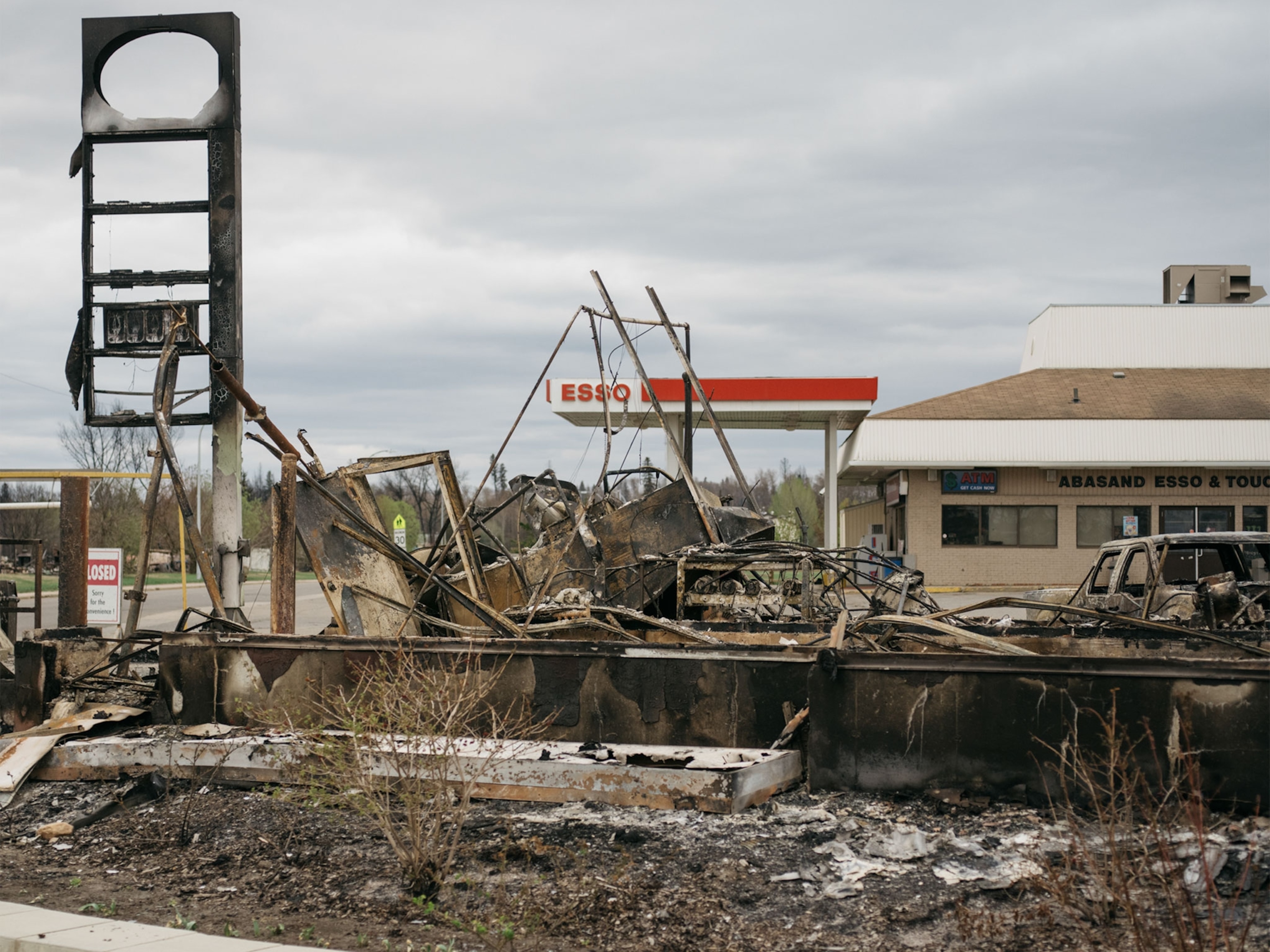 How wild animals cope with wildfires
