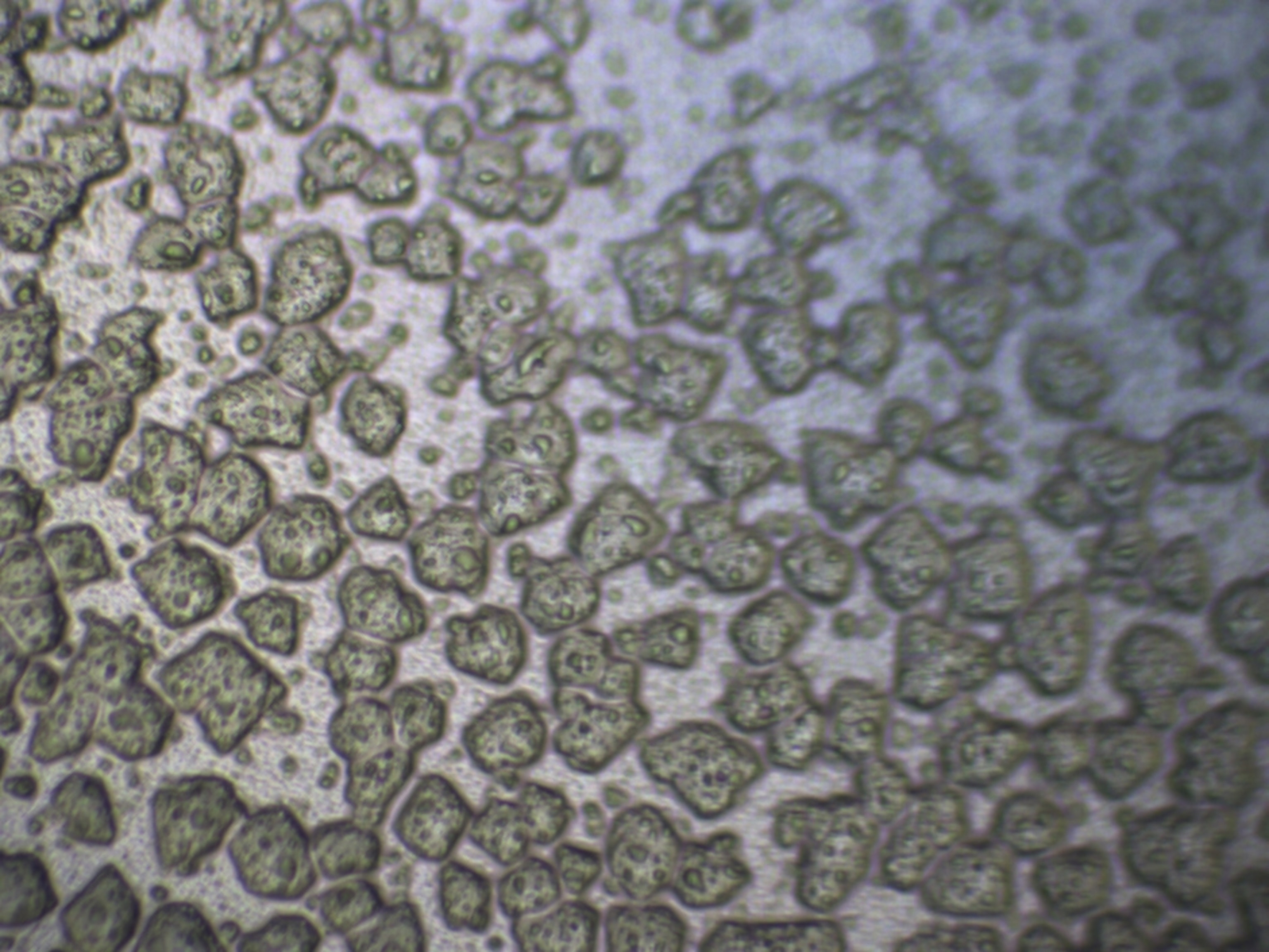 New kind of alien 'mineral' created on Earth