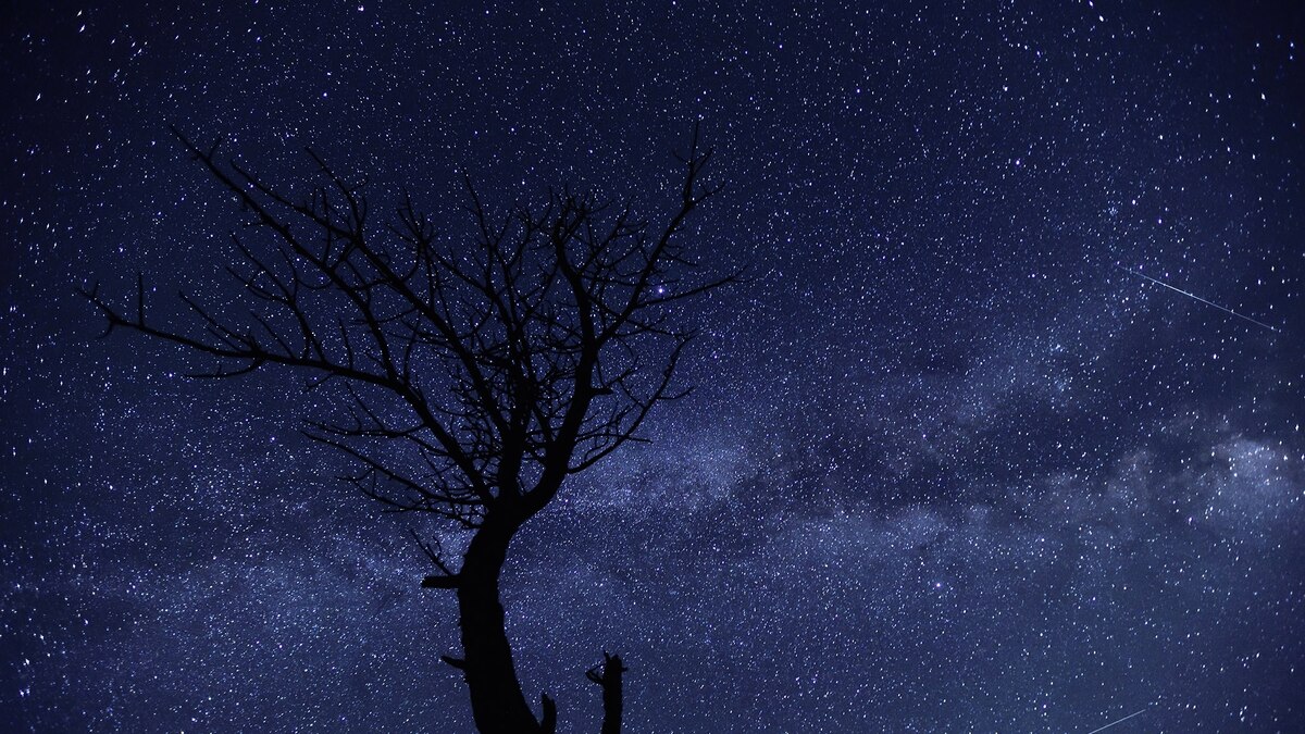 Sparkly Meteors and 7 More Can’t-Miss Sky Events in July | National ...