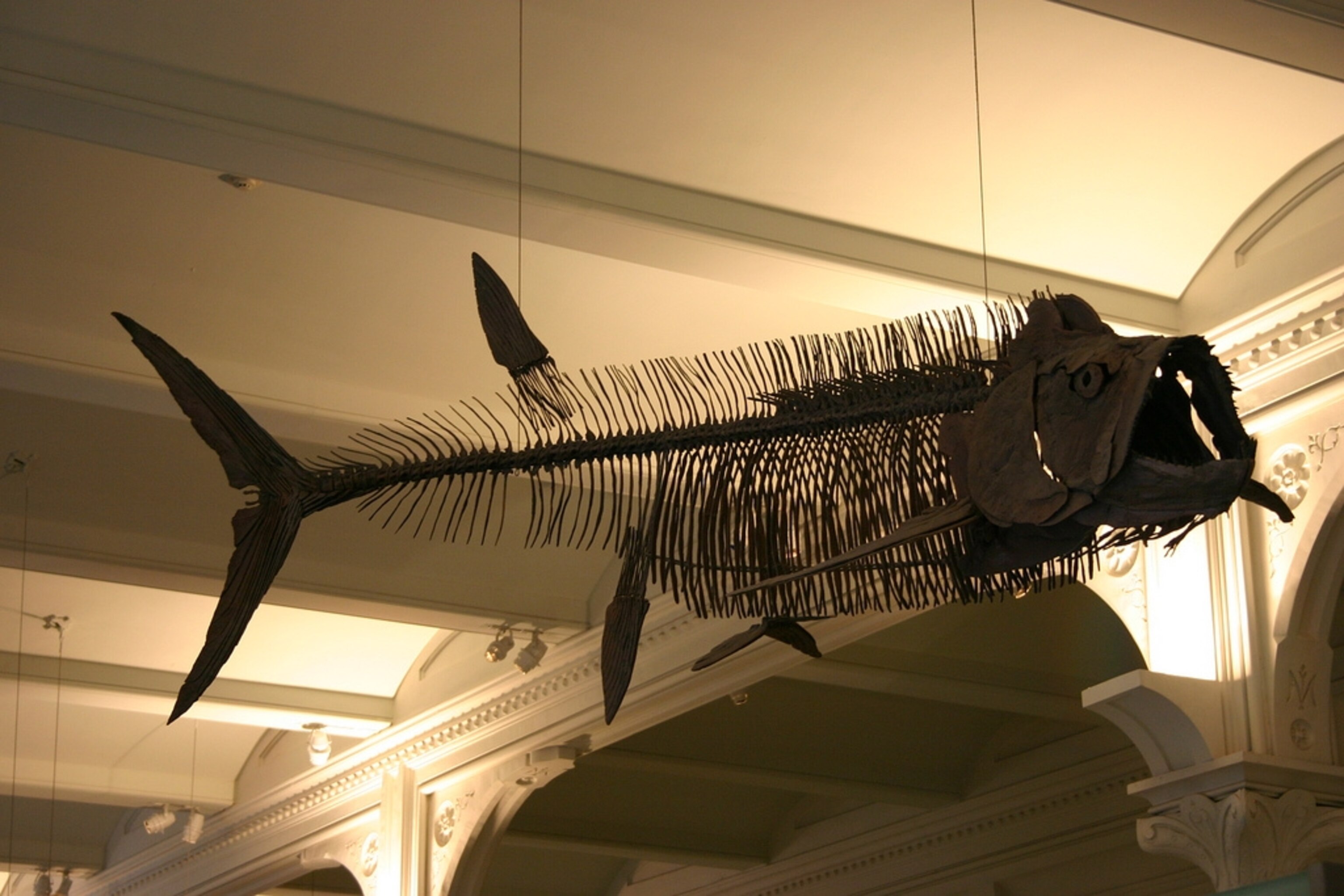 Rescued Fossils are Going Home