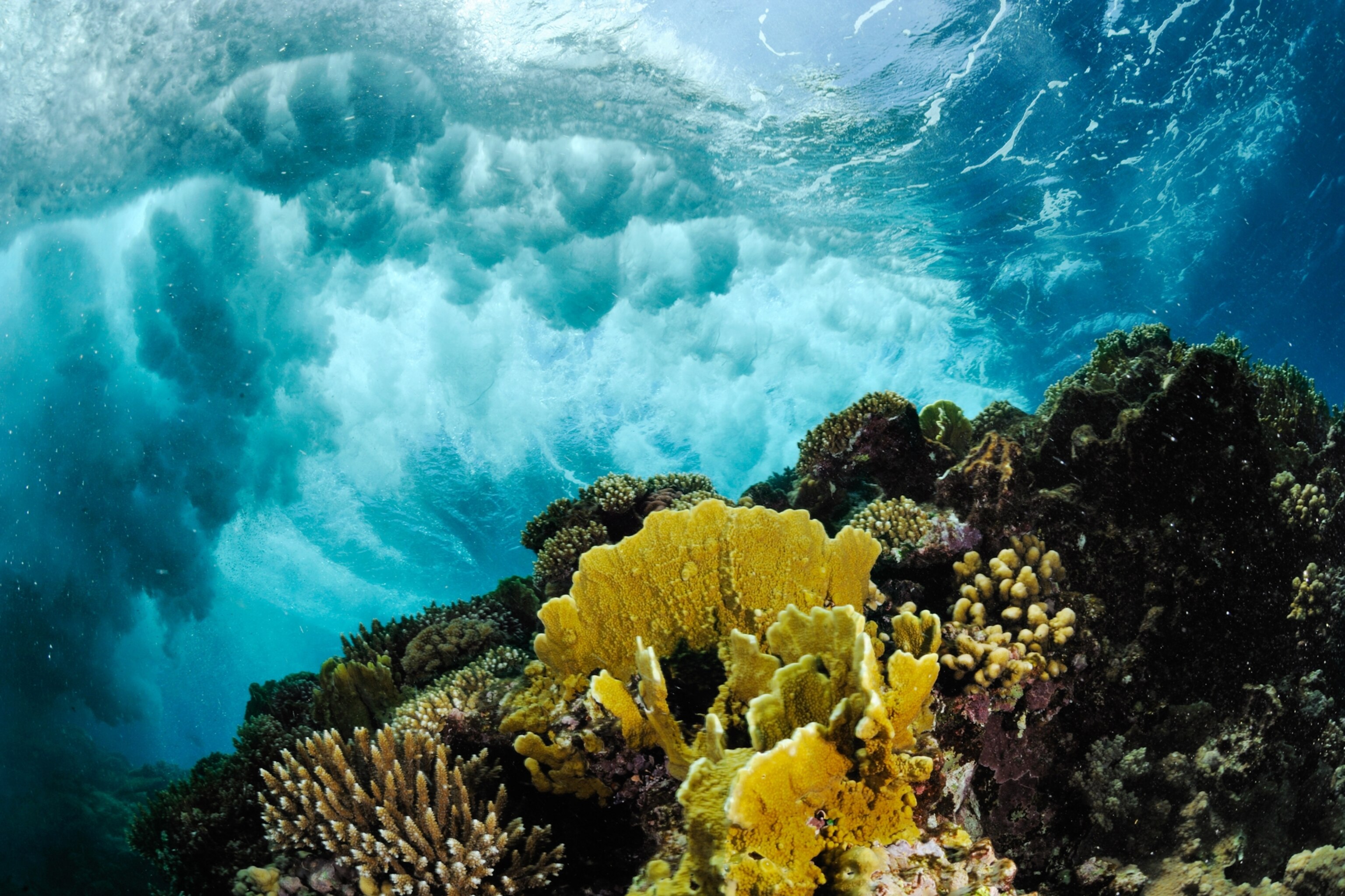 See an explosion of color in these 30 photos from the Nat Geo archives