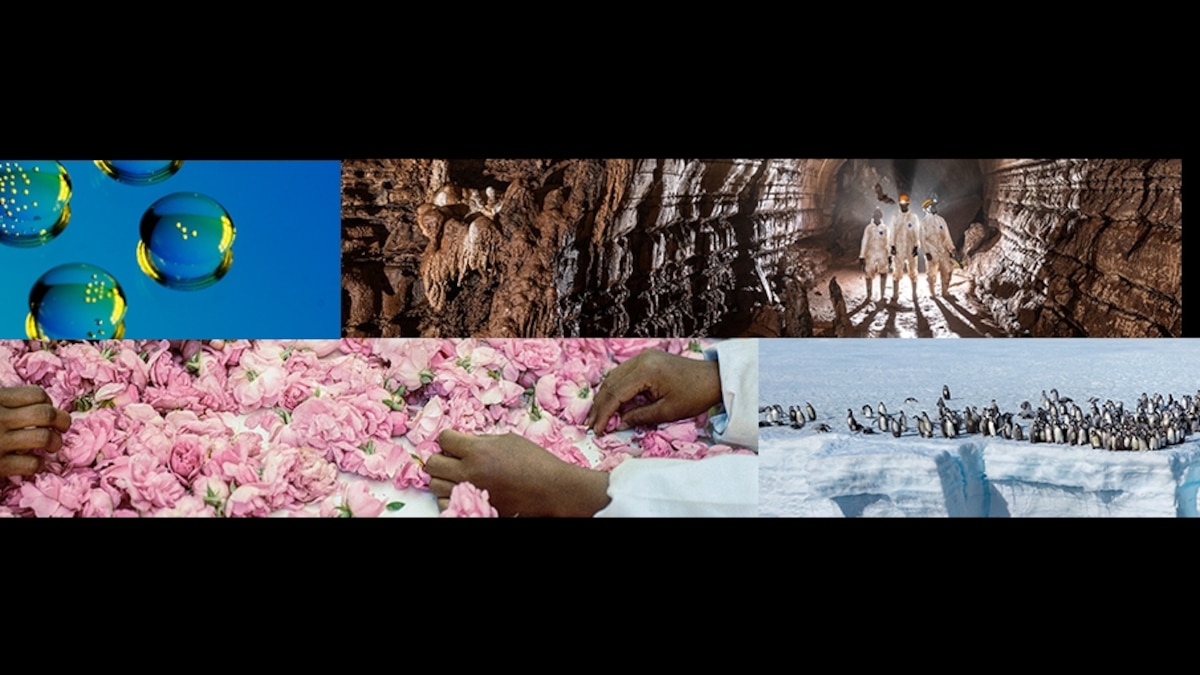 2024: Year in Review | National Geographic