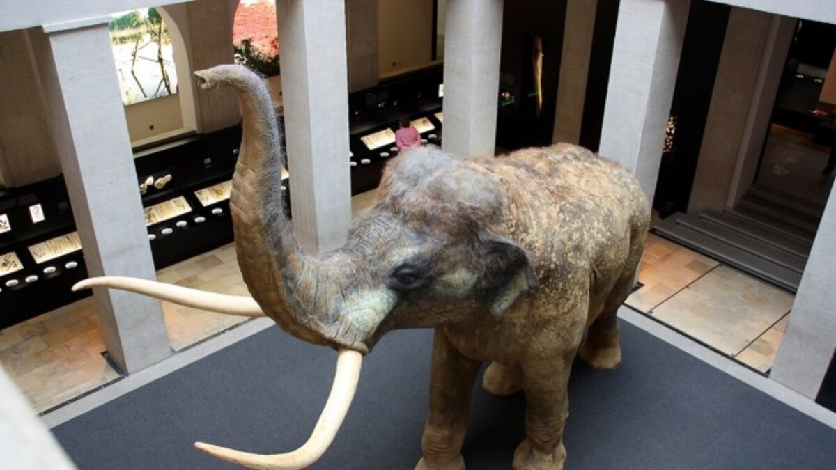 Did Hunger Drive the Evolution of Homo sapiens? | National Geographic