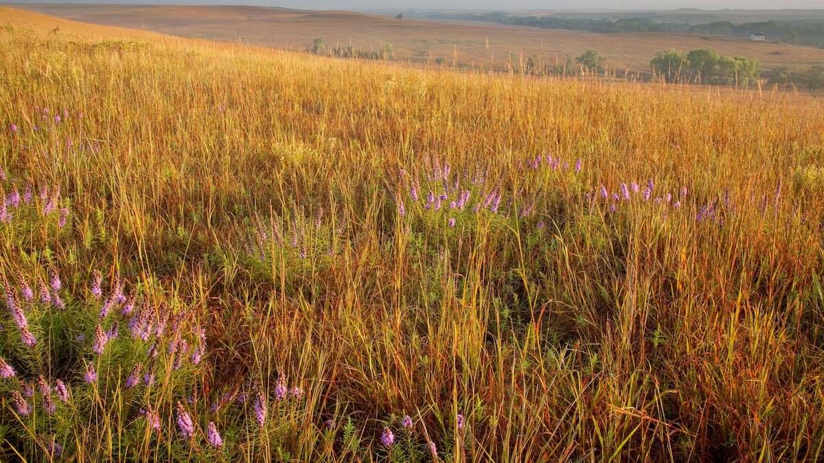 Kansas Travel Guide | National Geographic