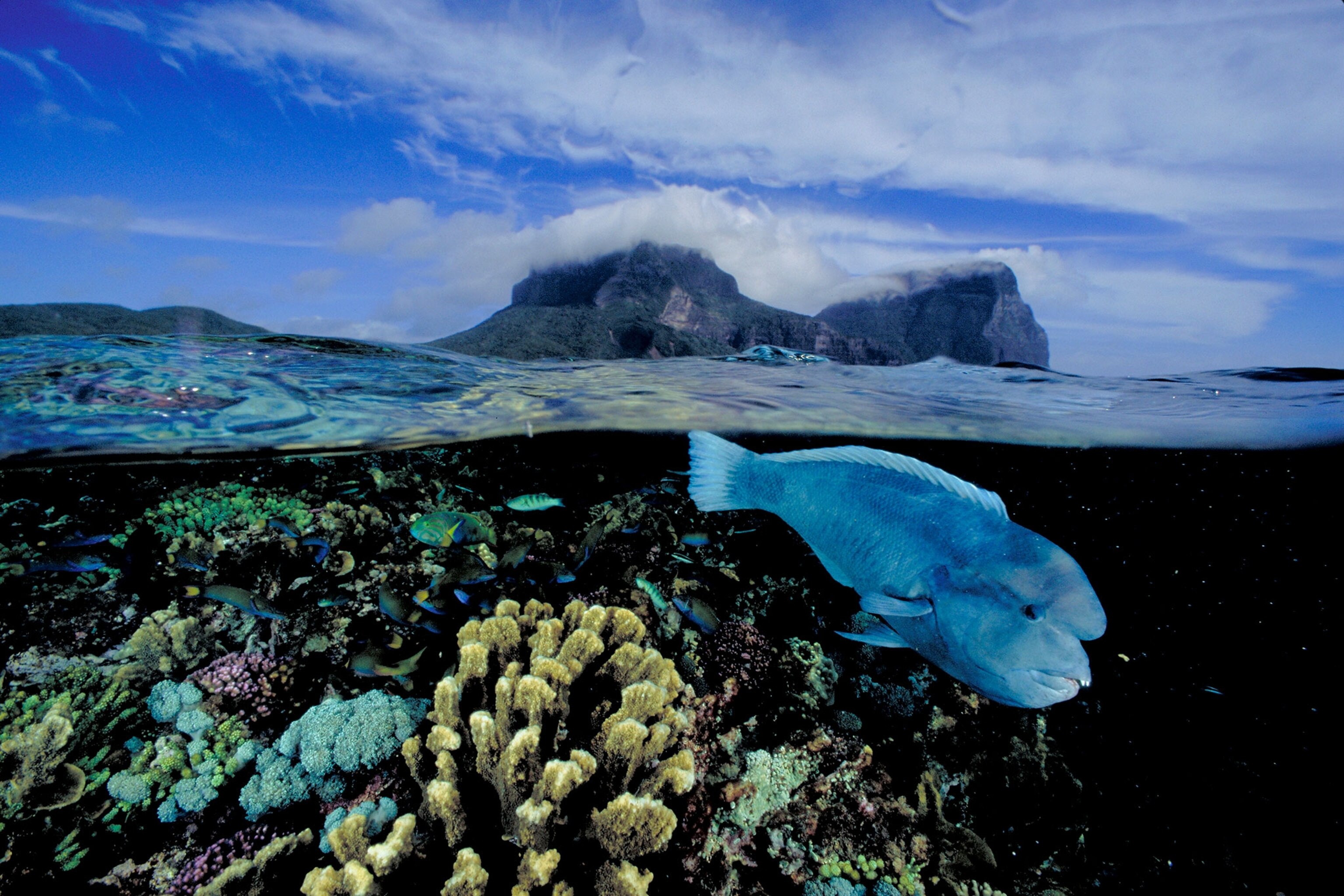 These Striking Photos Show Two Worlds in One, Above and Below the Water
