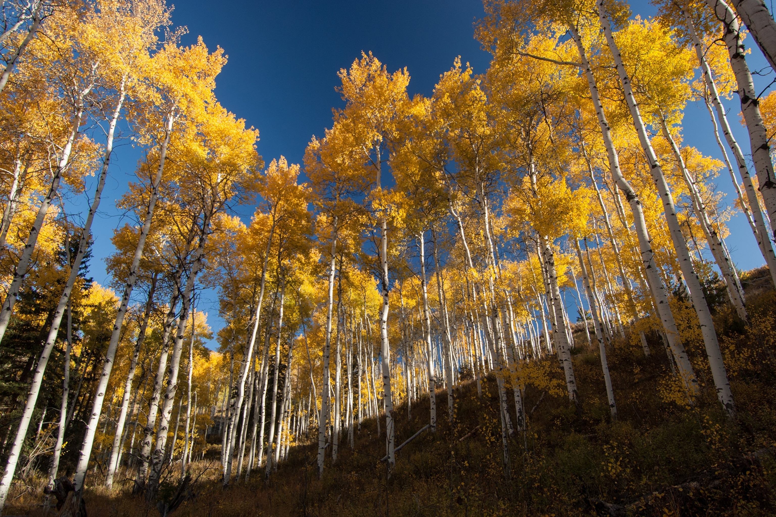 How to visit Grand Teton National Park