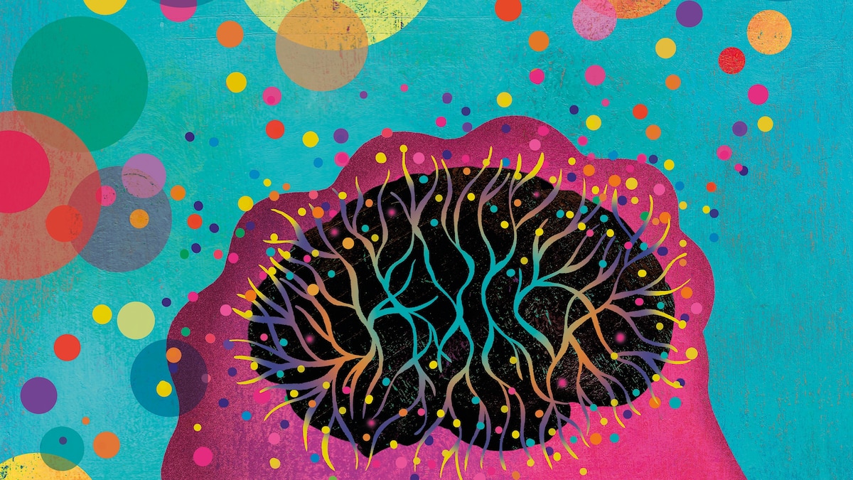 How to determine if you’re at risk for adult ADHD | National Geographic