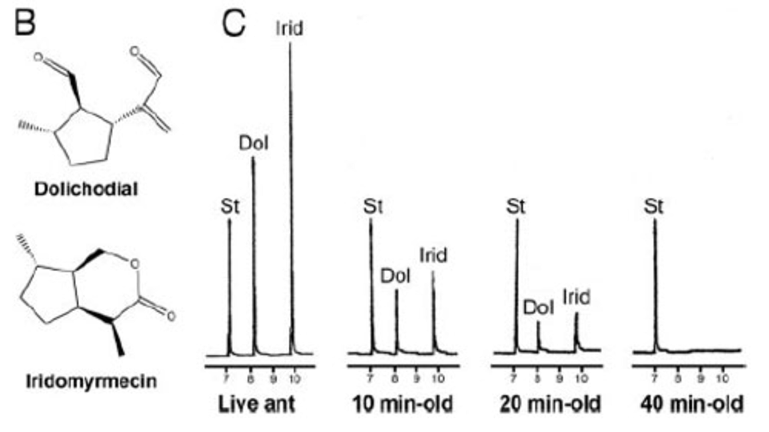 The signals of life – ants use chemical messages to avoid getting trashed