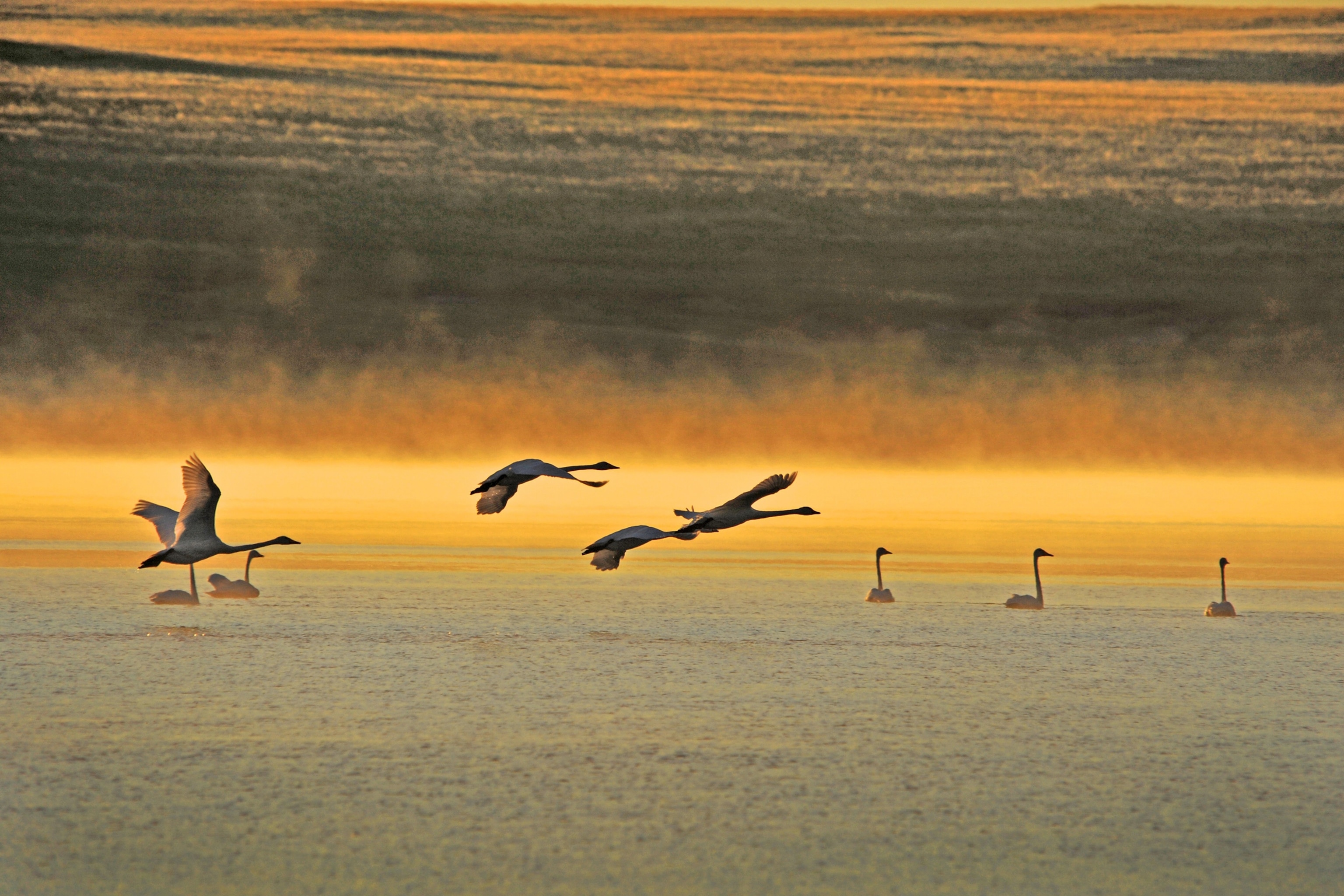 See the World Heritage City of Ahmadabad, India