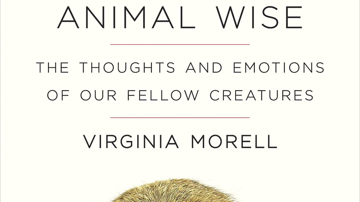 What Are Animals Really Thinking? Author Explores Hidden World ...