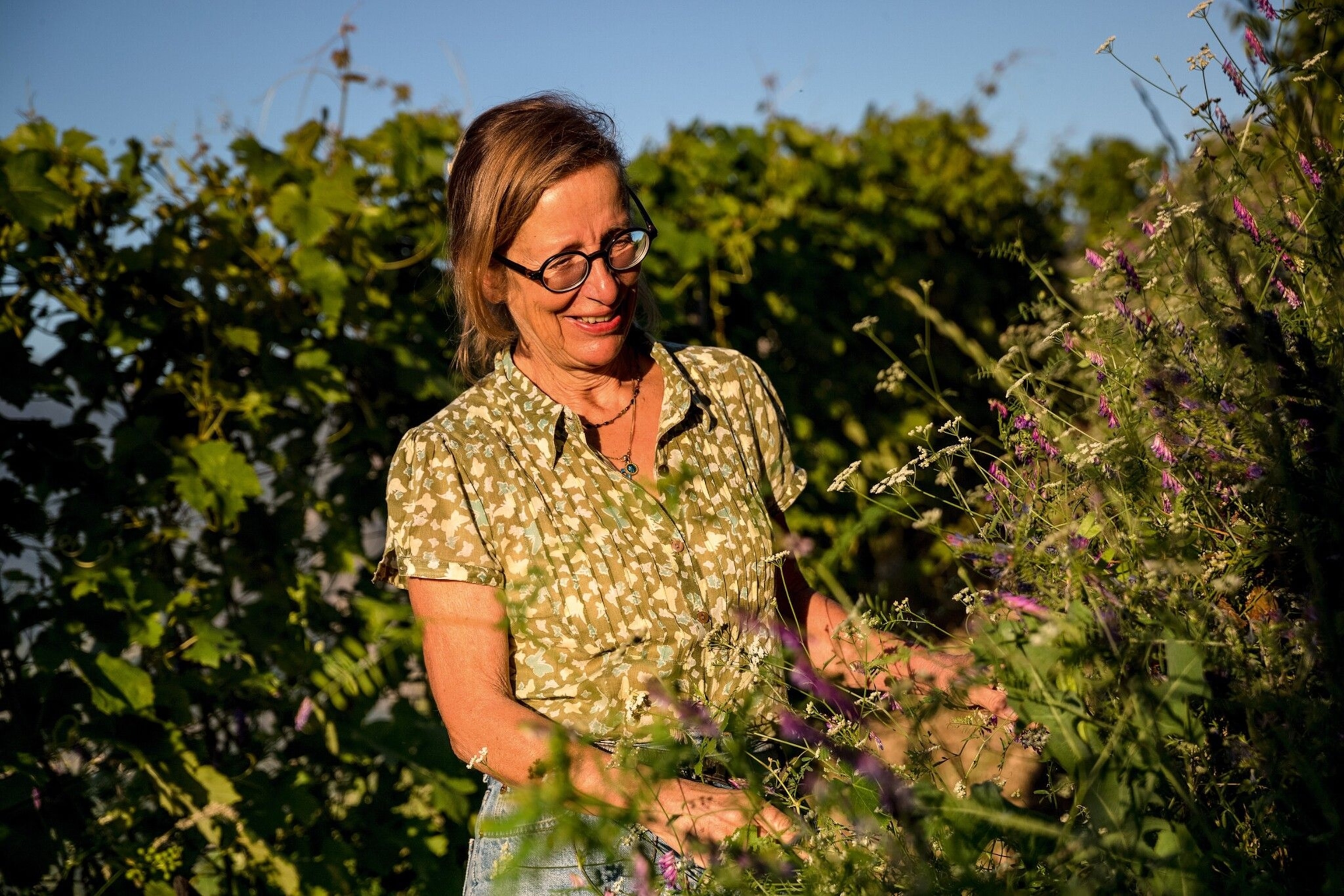 A guide to Alpine wine and where to enjoy it