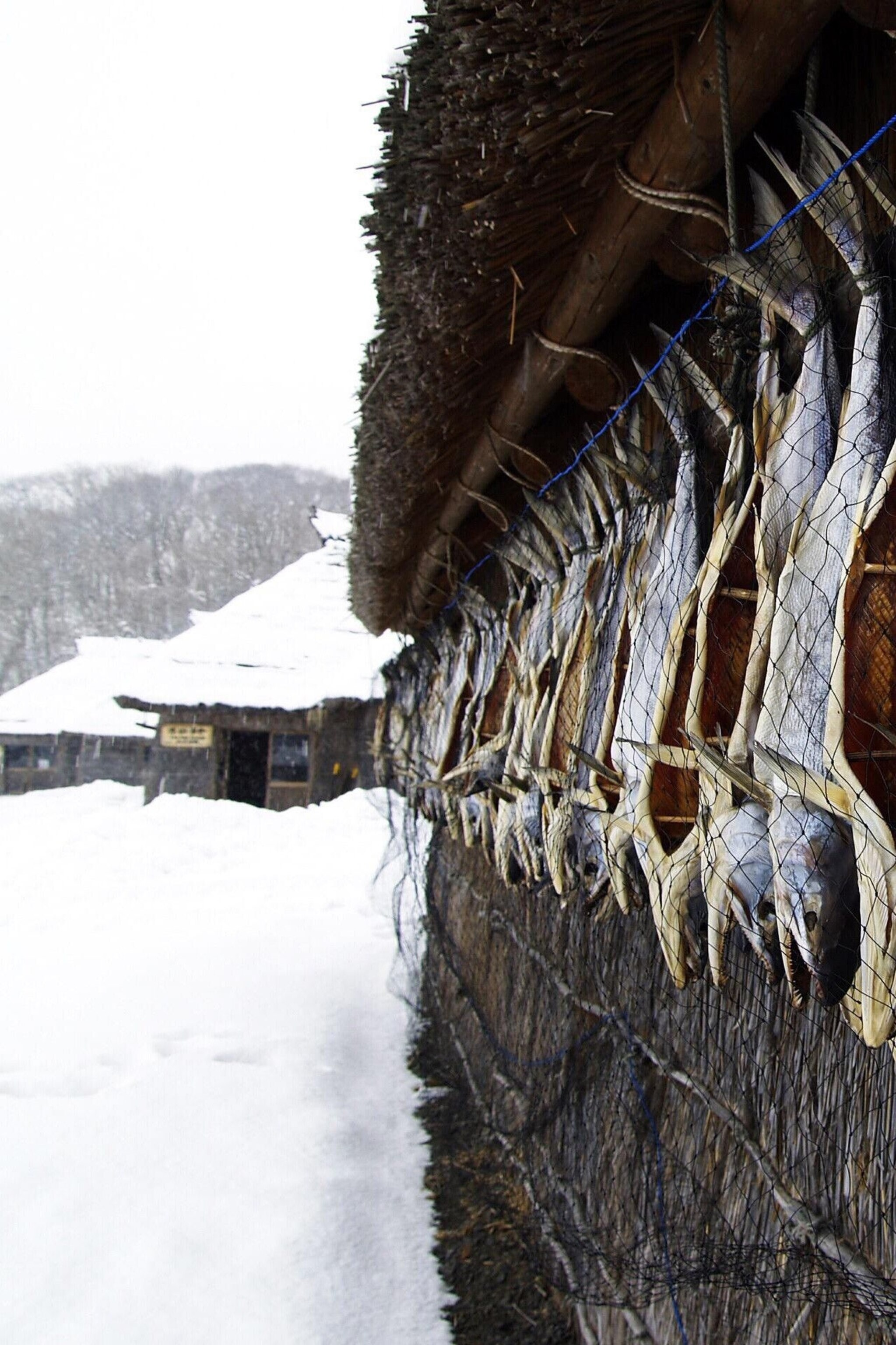 Four culinary experiences to try in Hokkaido