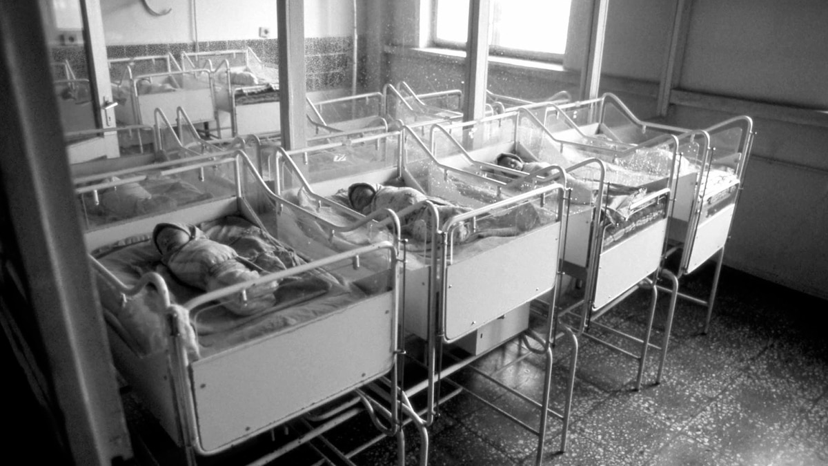 The Orphanage Problem | National Geographic