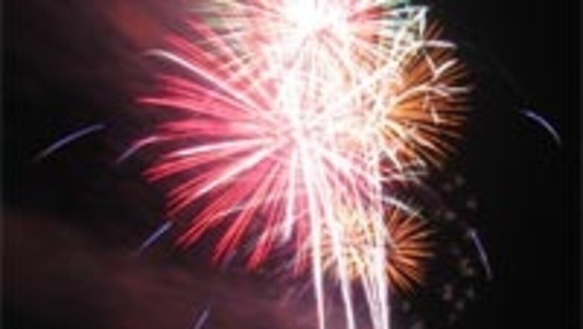 Not Exactly Rocket Science Review of 2008 | National Geographic