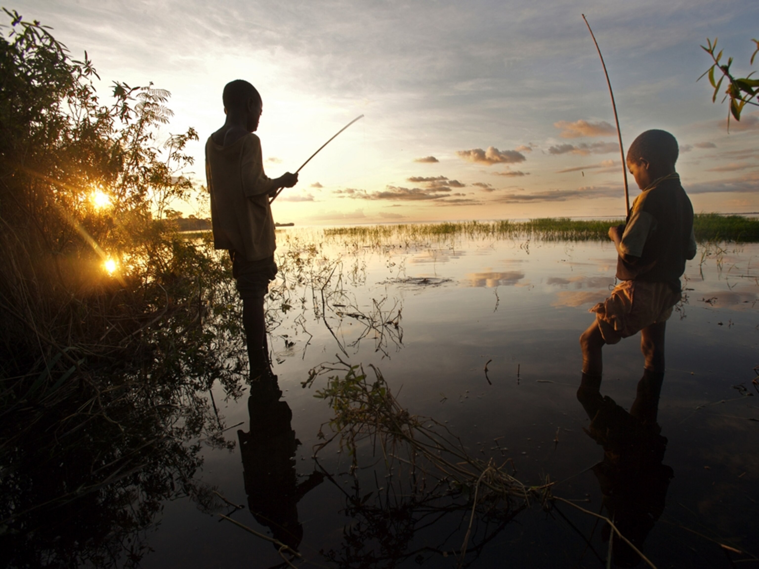 Aquatic Species Photos -- National Geographic