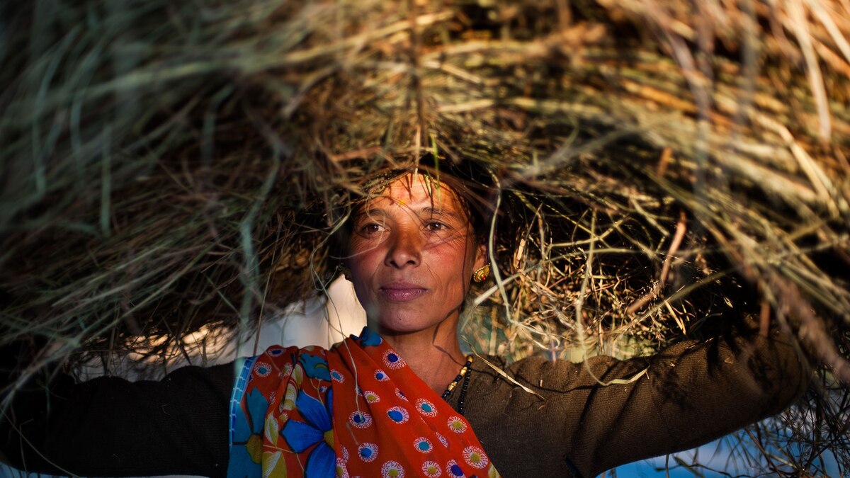 Four Charts That Illustrate The Extent Of World Poverty | National ...