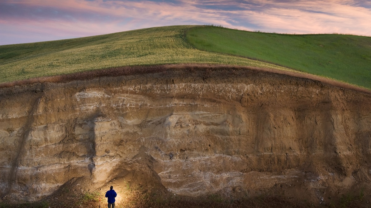 14 Dirty Photos That Show Why Soil Matters | National Geographic