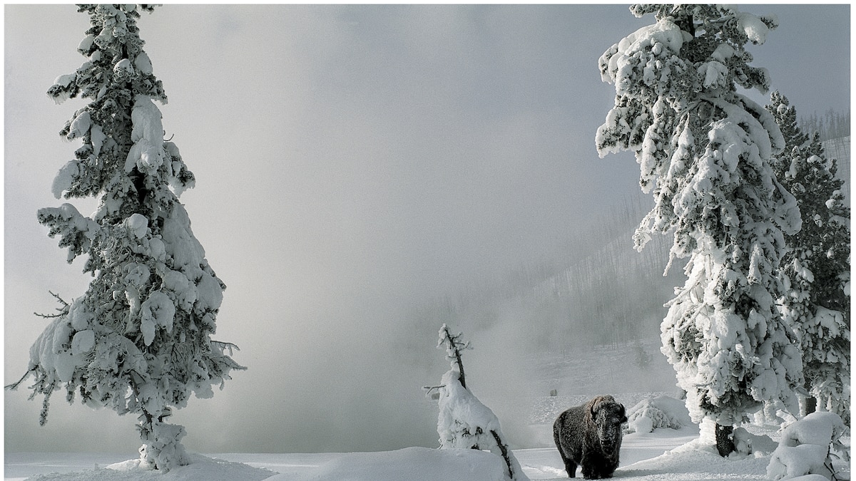 31 vintage images from the National Geographic archives | National ...