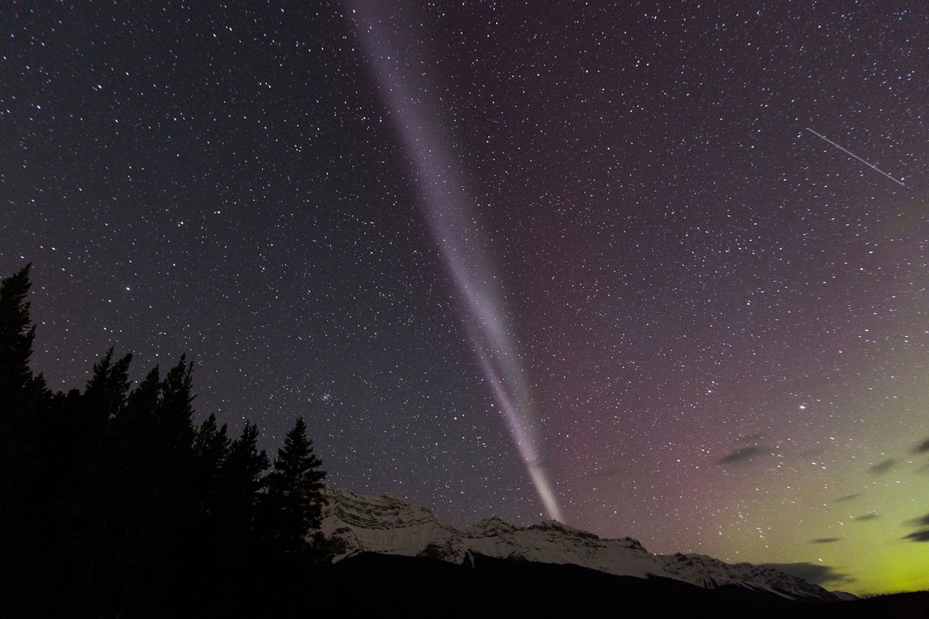 'Steve,' a New Kind of Aurora, Was Found by Citizen Scientists